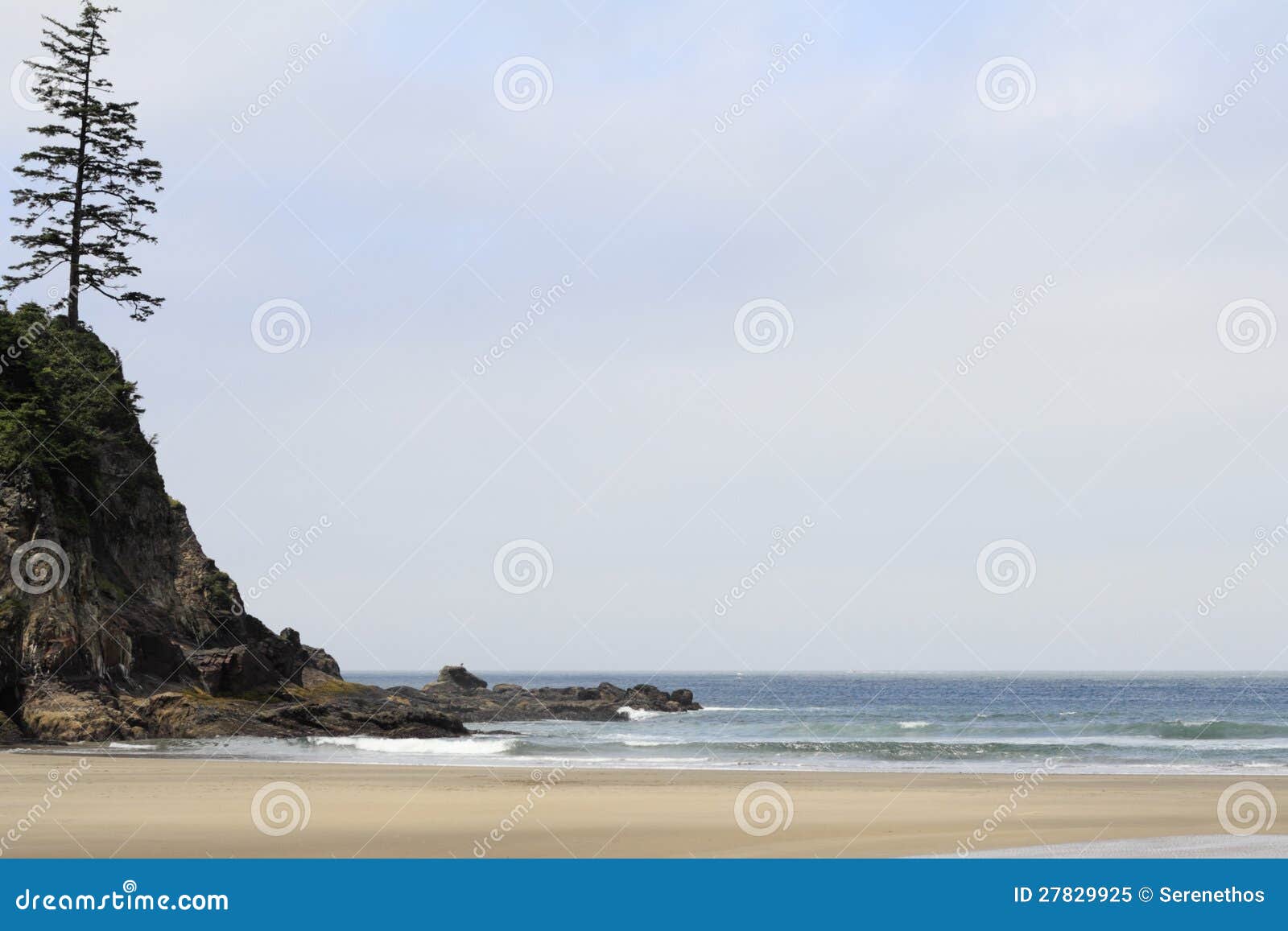 Tree Hill on Oregon Coast stock image. Image of mist - 27829925