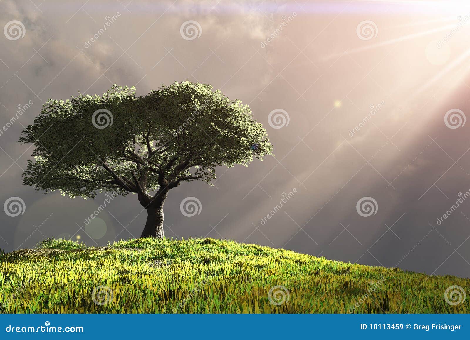 Tree on Hill with Rays of Light Stock Illustration - Illustration of ...