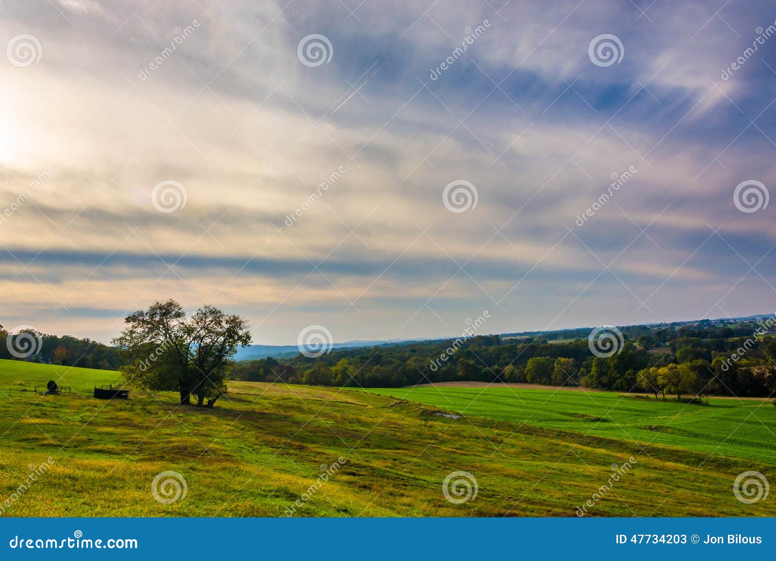 Tree on a Hill in Rural Lancaster County, Pennsylvania. Stock Image ...
