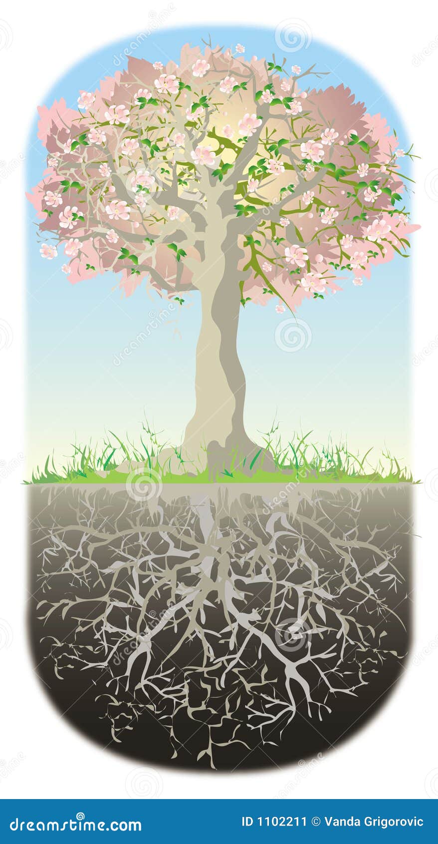 Magnolia Tree Roots Stock Illustrations – 16 Magnolia Tree Roots Stock ...