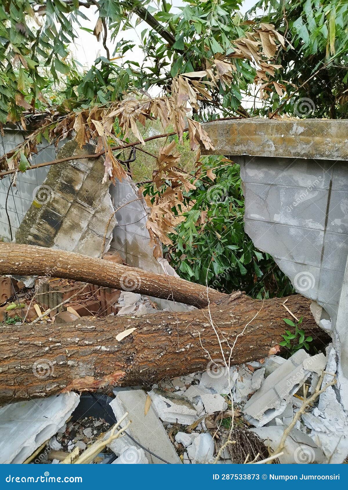A Tree Hit by a Storm Toppled the Fence of the House. ? Stock Image ...