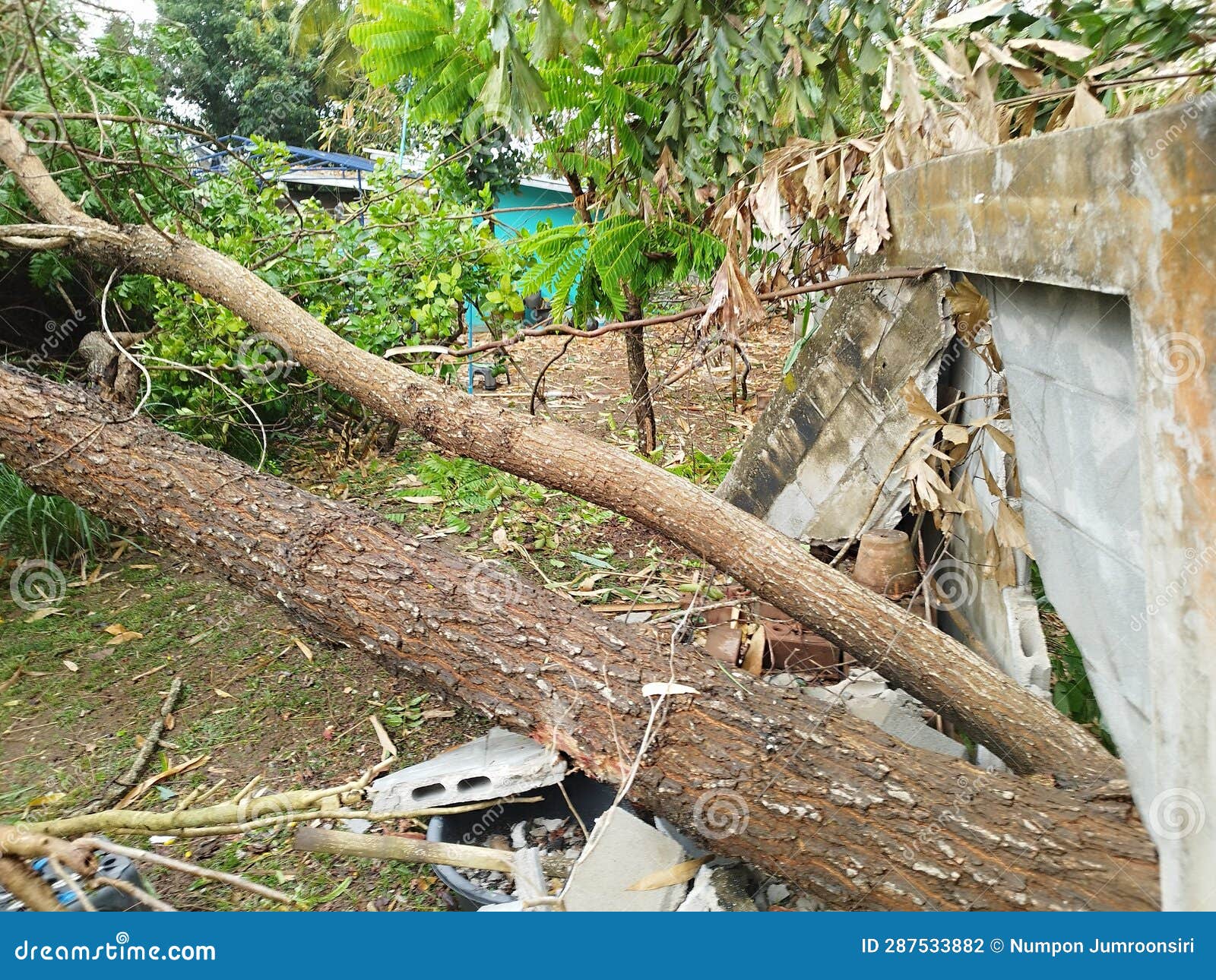 A Tree Hit by a Storm Toppled the Fence of the House. ? Stock Photo ...