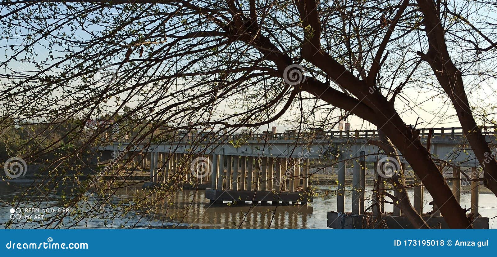 A tree hold bridge stock photo. Image of tree, hold - 173195018