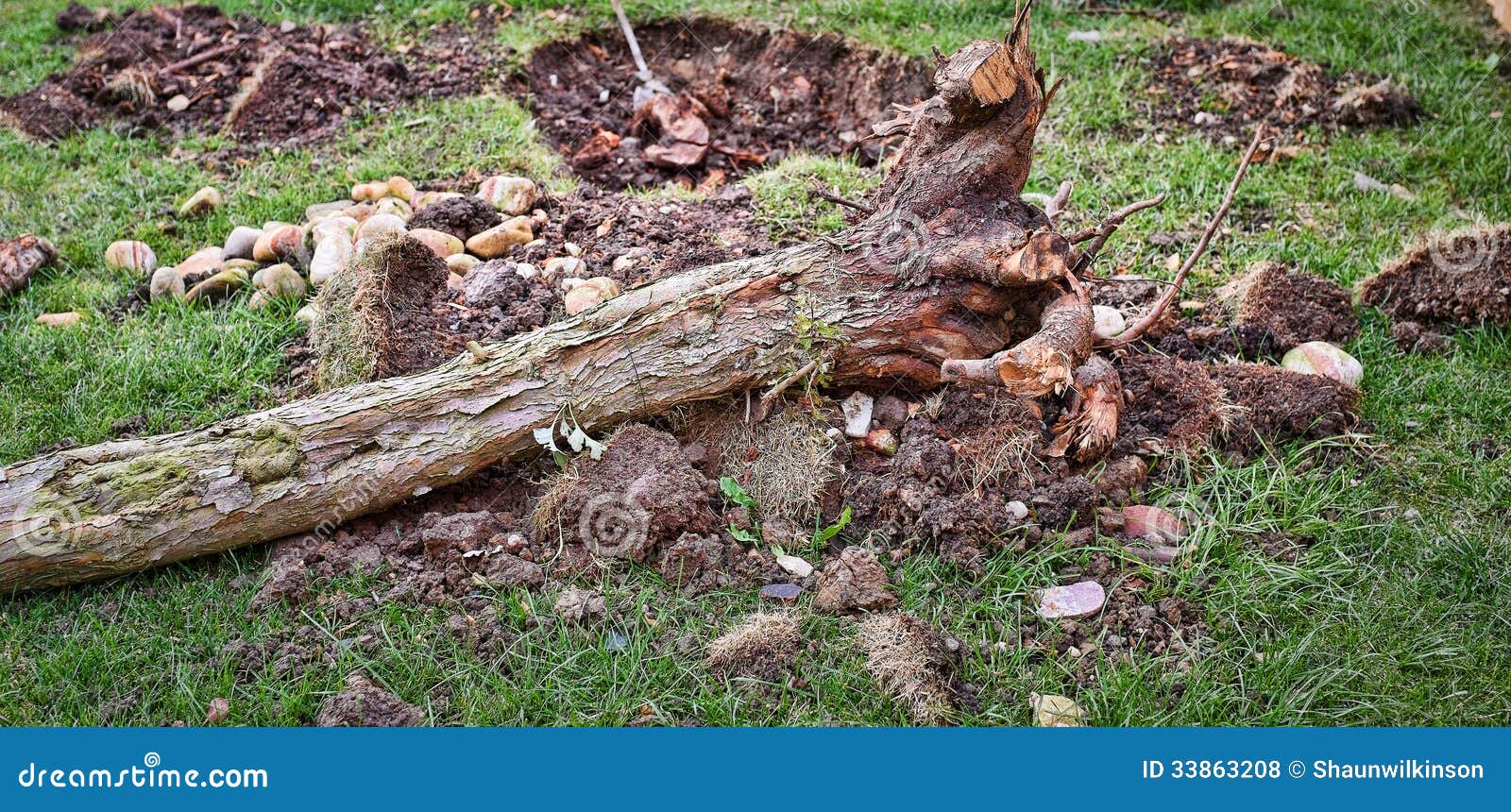 Tree hole stock photo. Image of tree, manual, work, rural - 33863208