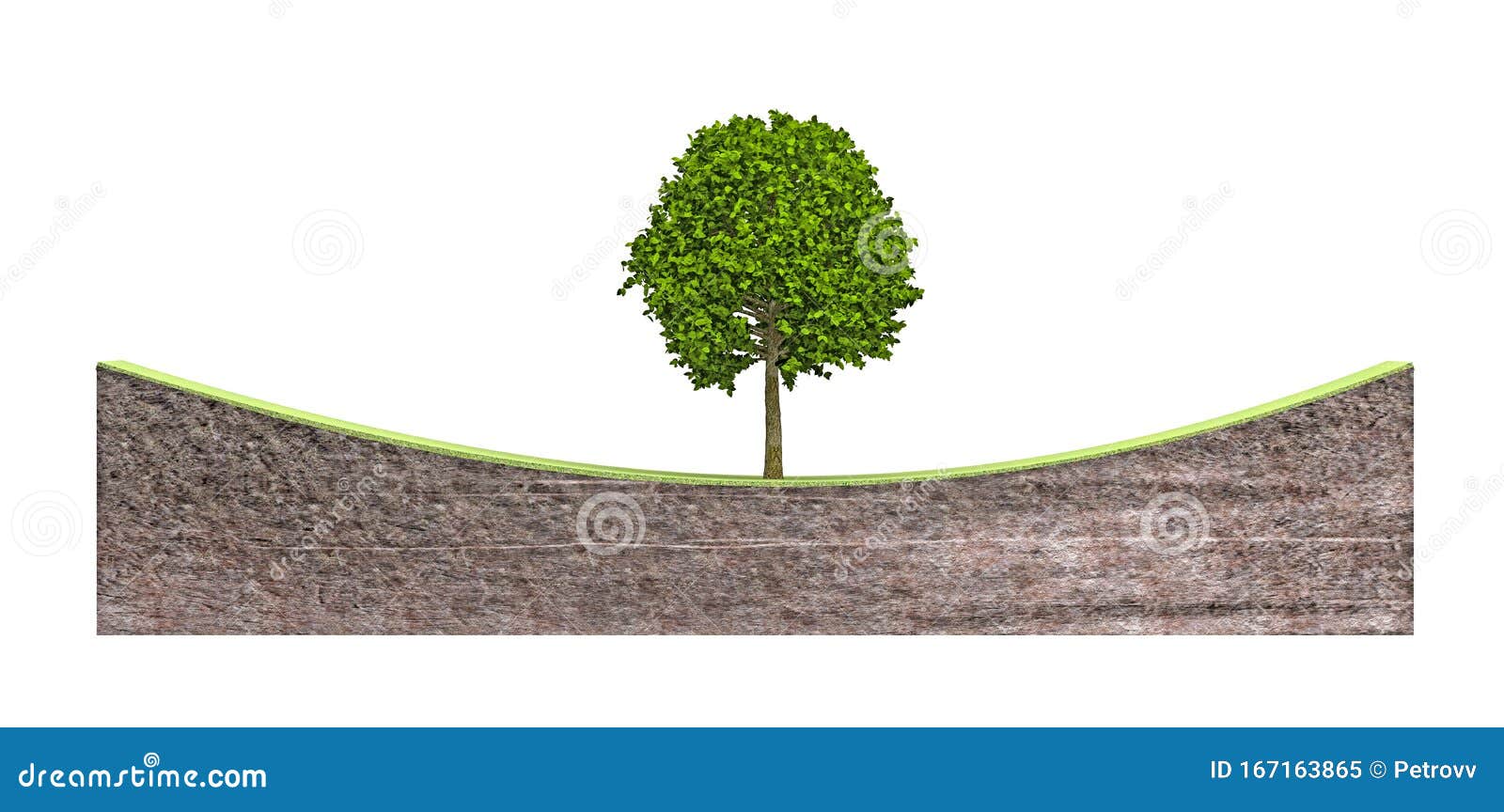 Tree on Hollow Ground Sectional Stock Illustration - Illustration of ...