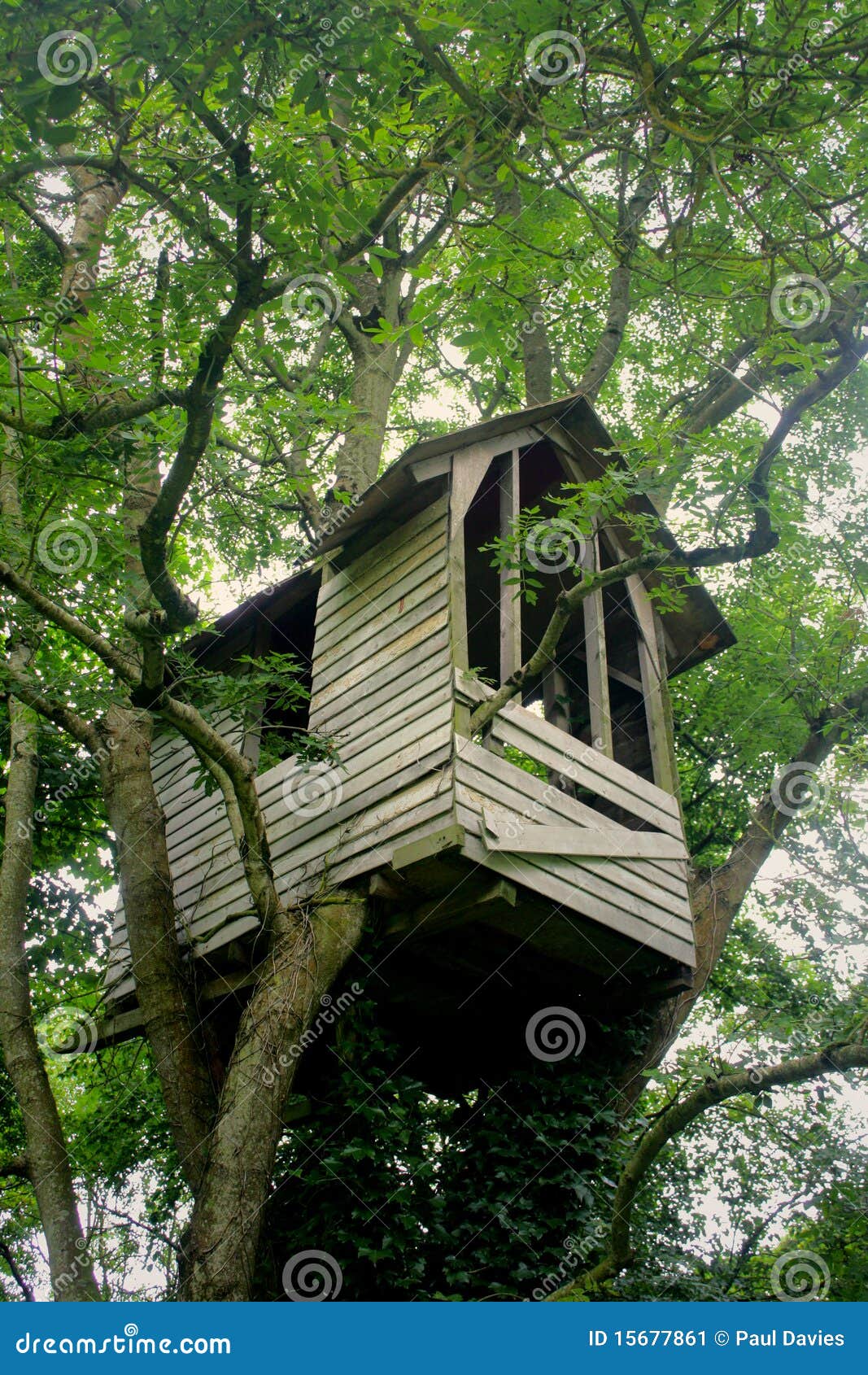 Tree House stock image. Image of green, forgotten, constructed - 15677861