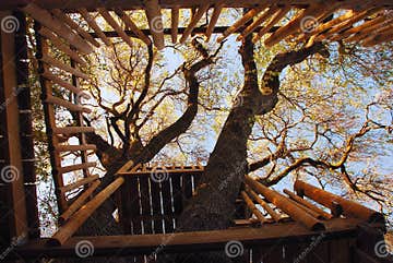 Tree House stock image. Image of bannister, high, architecture - 6871225