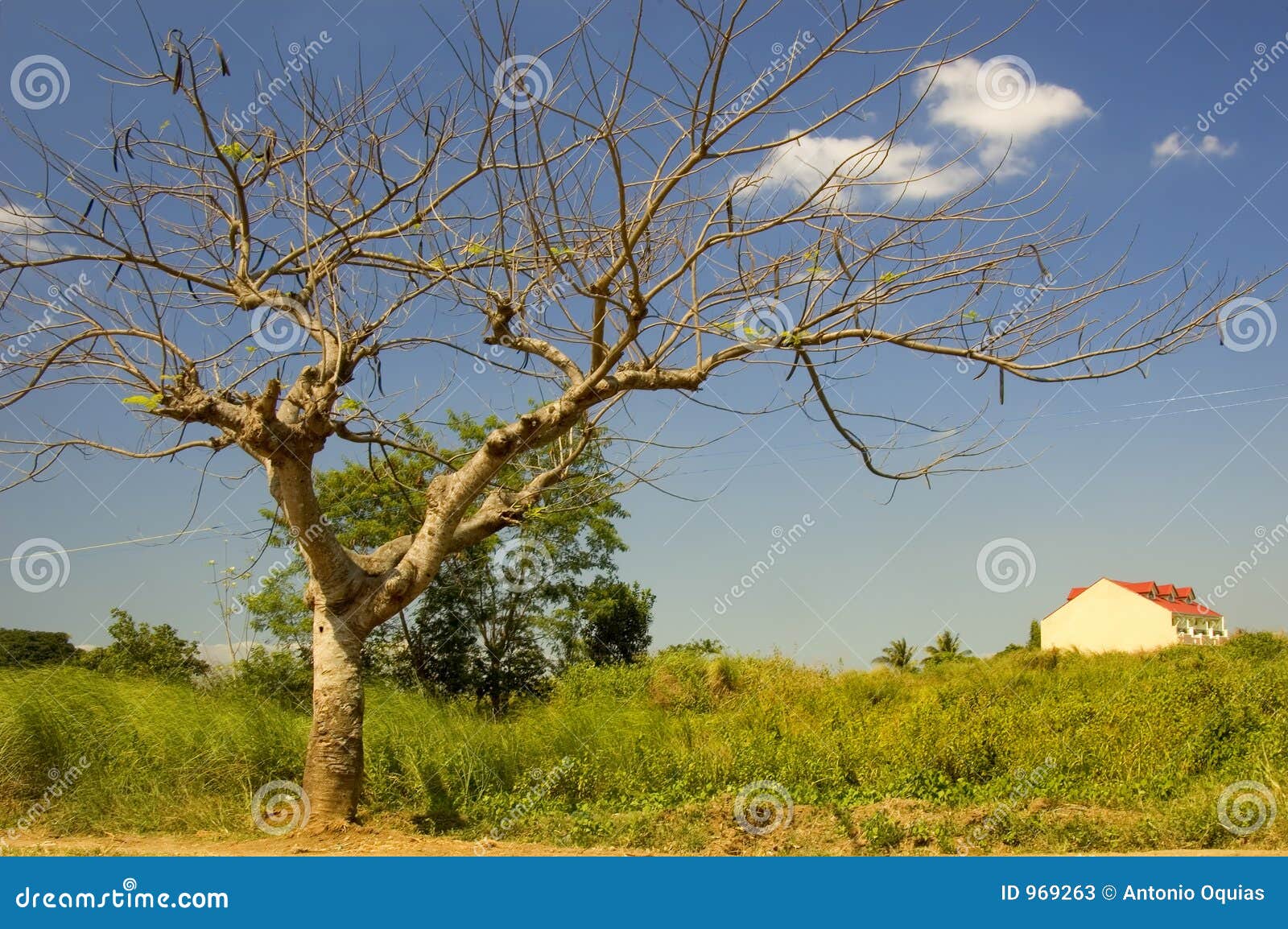 Philippines Building Cavite Stock Photos - Free & Royalty-Free Stock ...