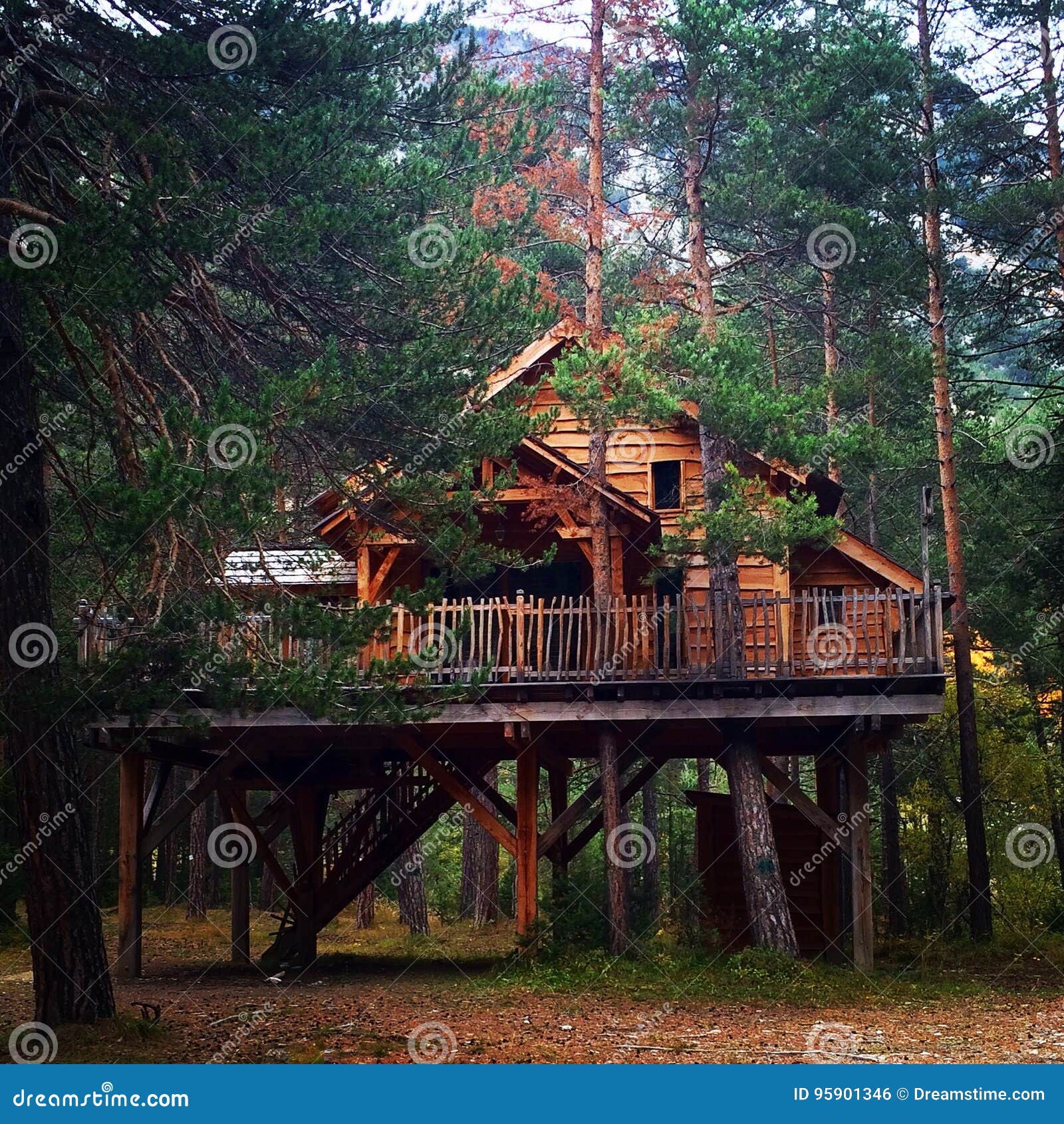 Hidden Tree Royalty-Free Stock Image | CartoonDealer.com #1308082