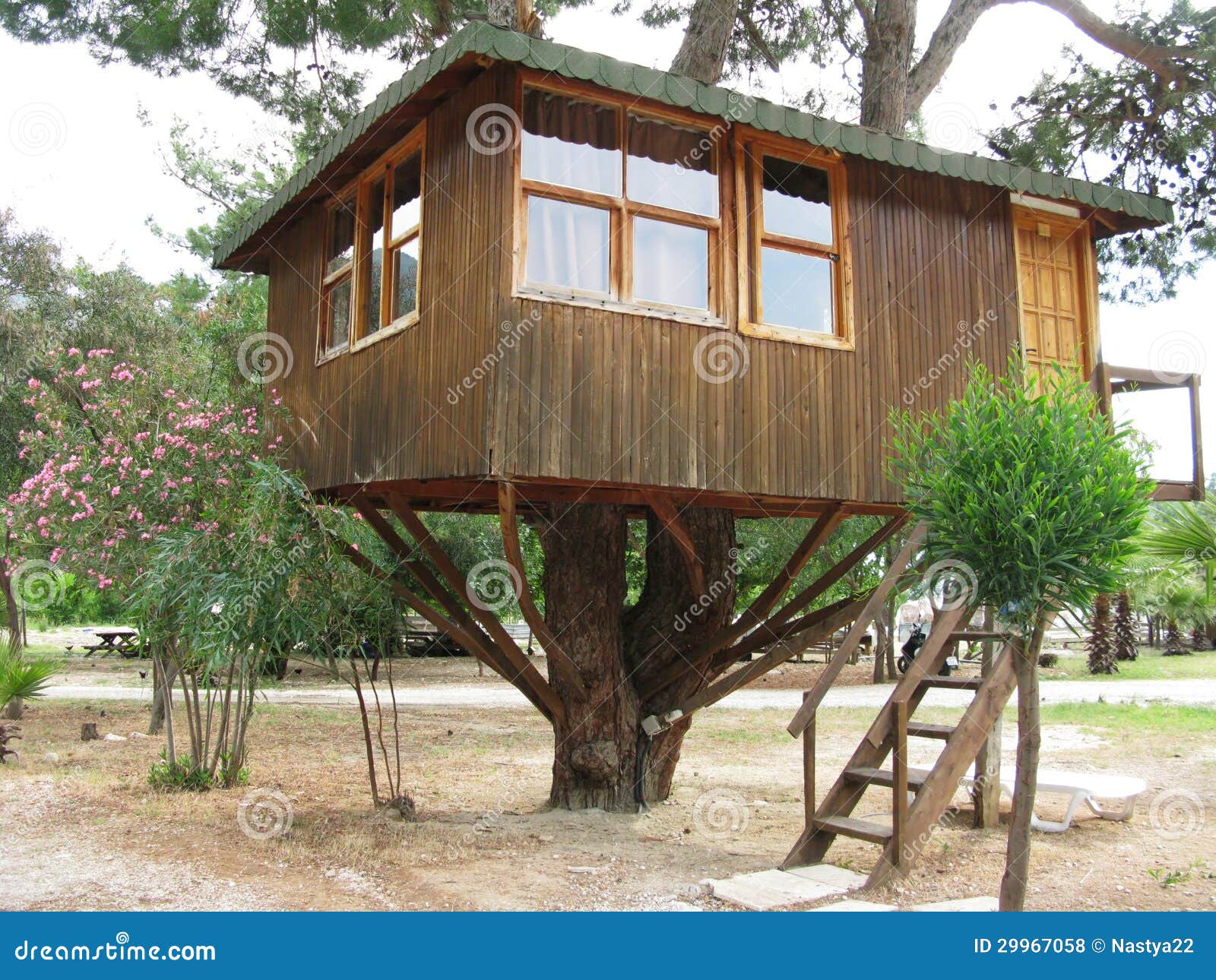 House on tree stock photo. Image of nature, tourism, olympos - 29967058