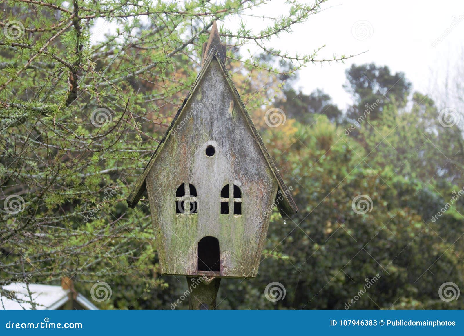 Tree, House, Chapel, Outdoor Structure Picture. Image: 107946383