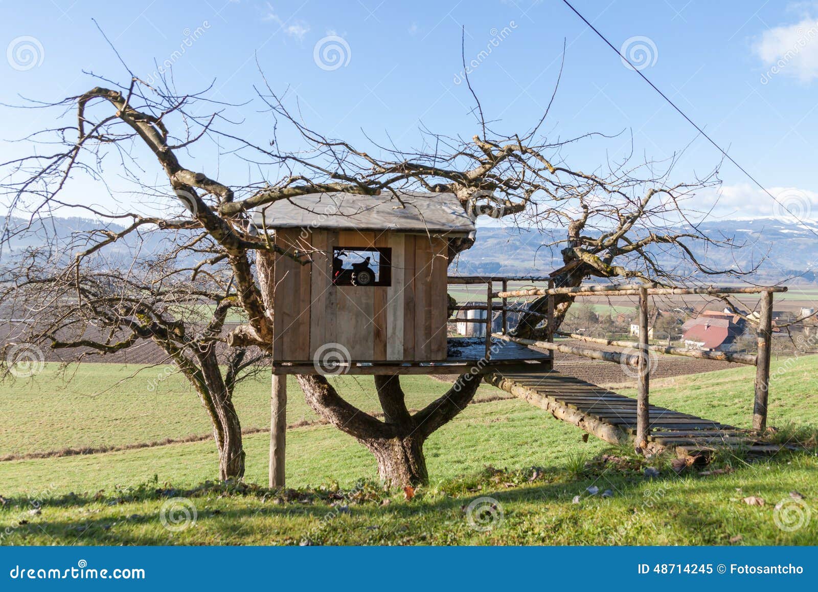 Tree House - Cottage - Farm Stock Image - Image of arbor, build: 48714245
