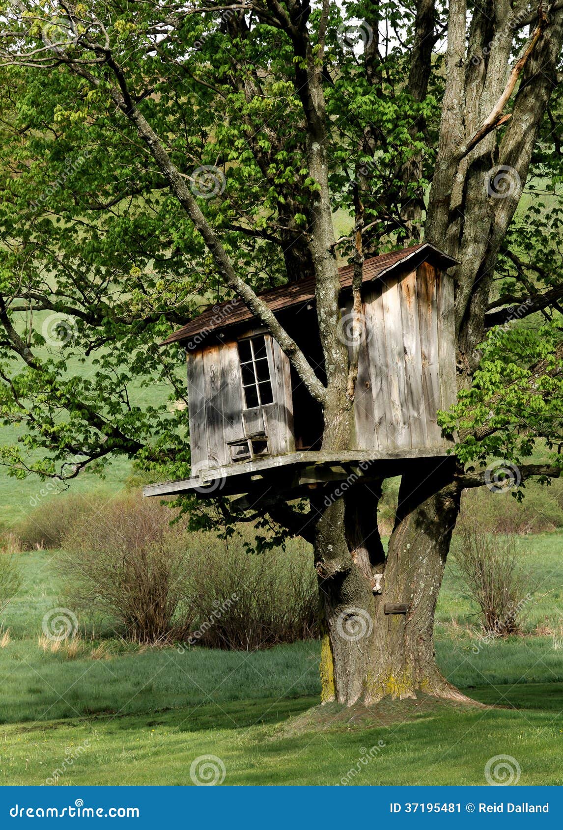 Wonderful Old Treehouse in the Country. Stock Image - Image of front ...