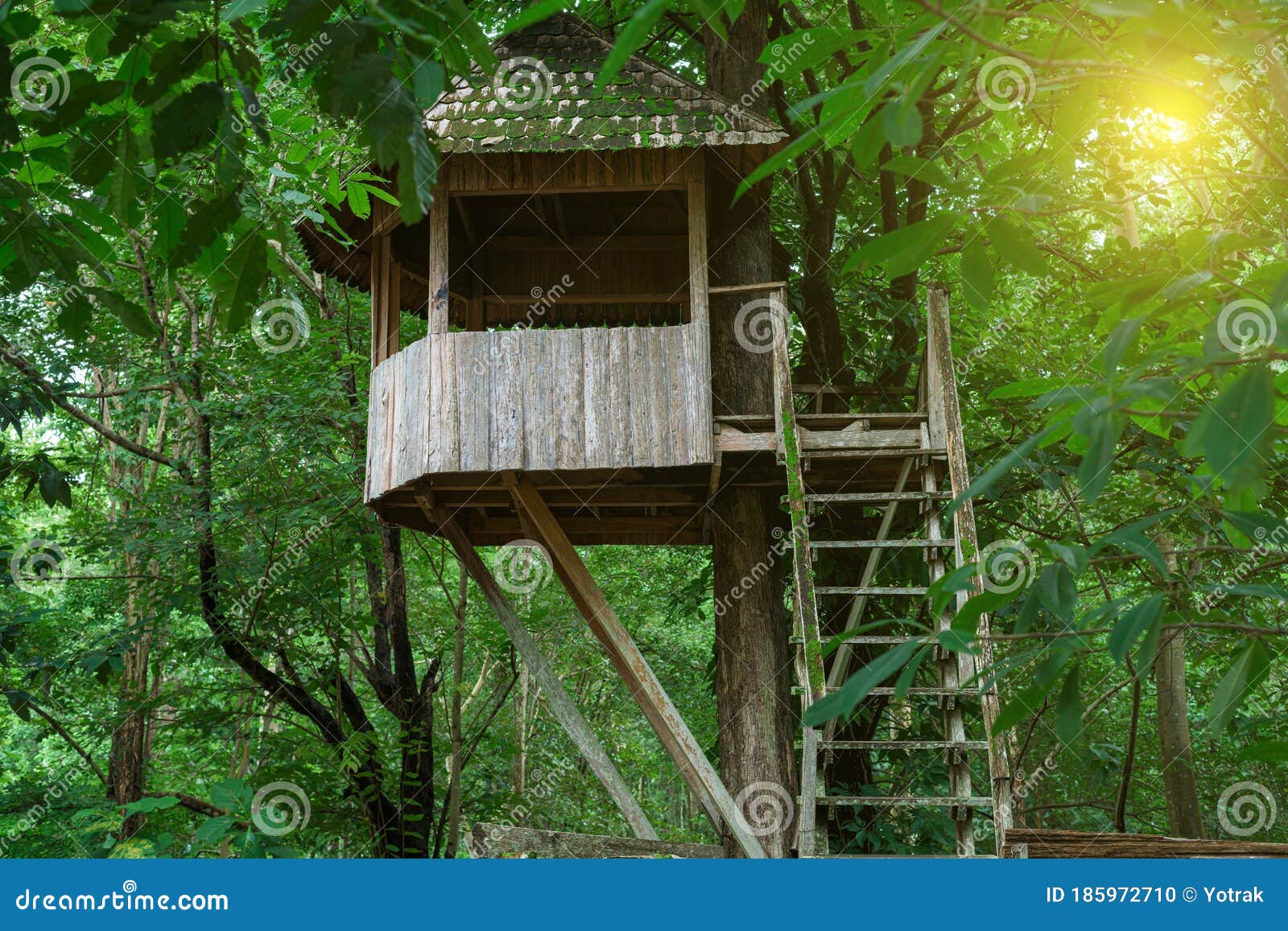Tree house in deep forest stock photo. Image of adventure - 185972710
