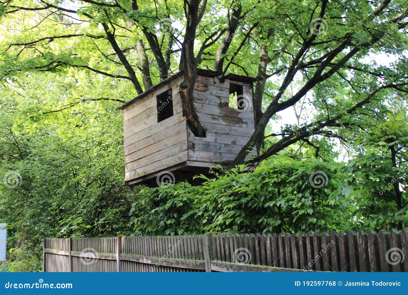Tree house by the fence stock photo. Image of fence - 192597768