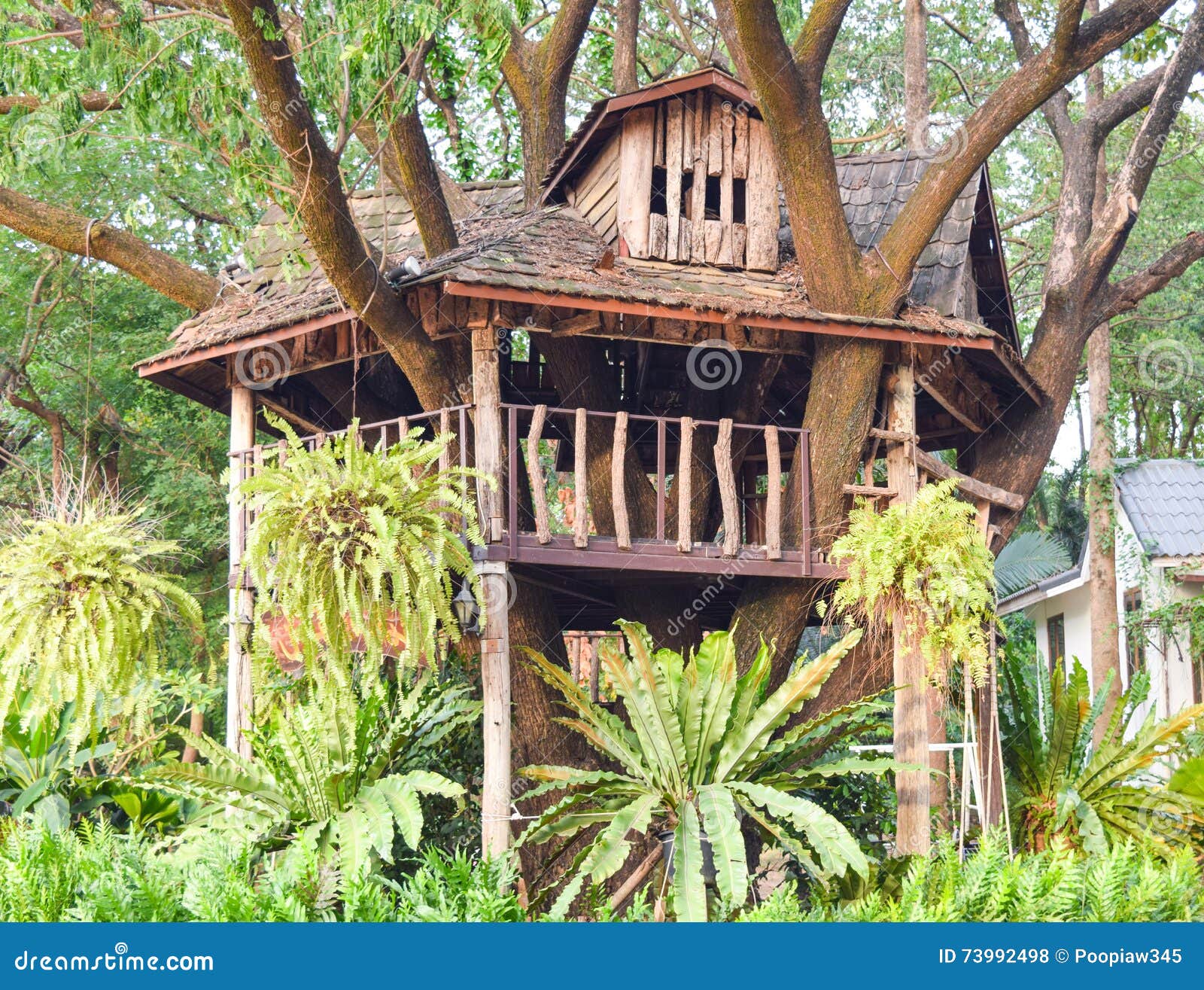 Tree house in the garden stock photo. Image of roof, small - 73992498
