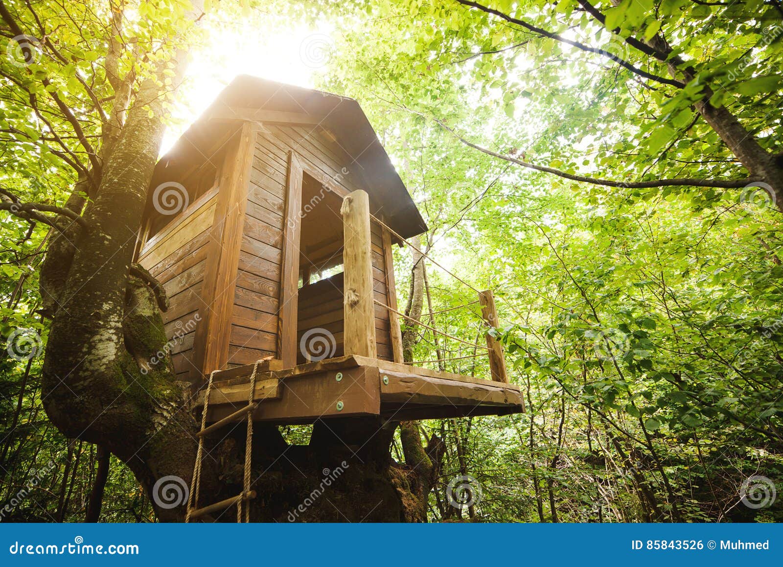 Tree house in the garden. stock photo. Image of built - 85843526