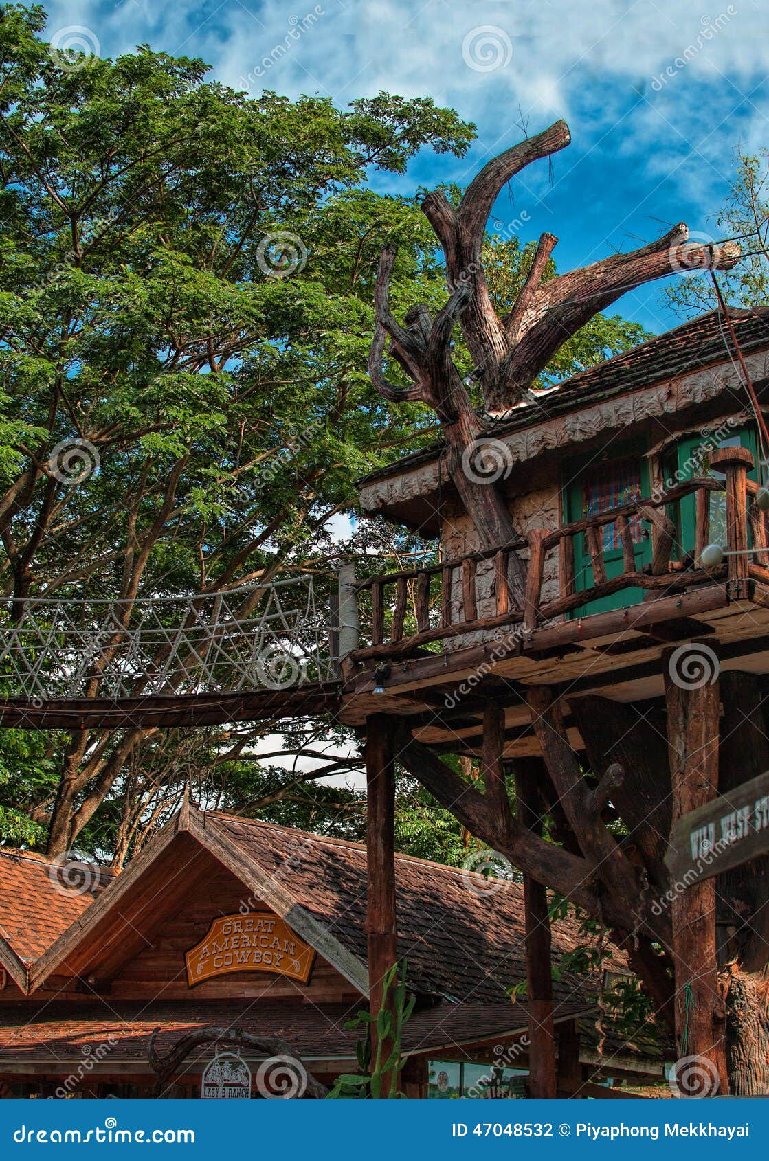 Tree house stock photo. Image of trees, bridge, rope - 47048532