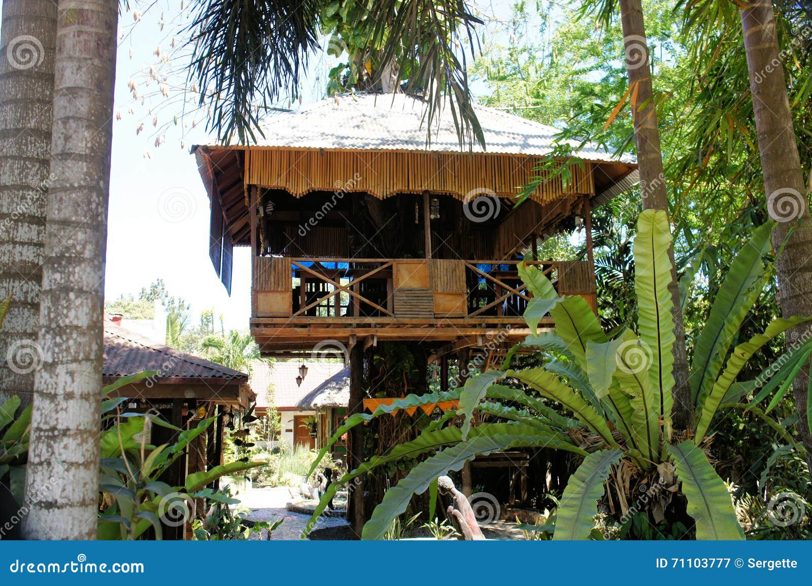 Tree House in the Jungle . Palawan Island Stock Image - Image of ...