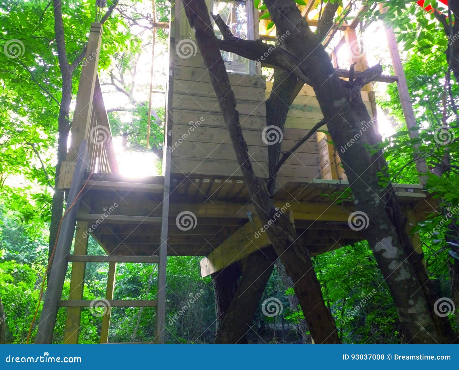 Tree House Light stock photo. Image of climb, trees, frame - 93037008