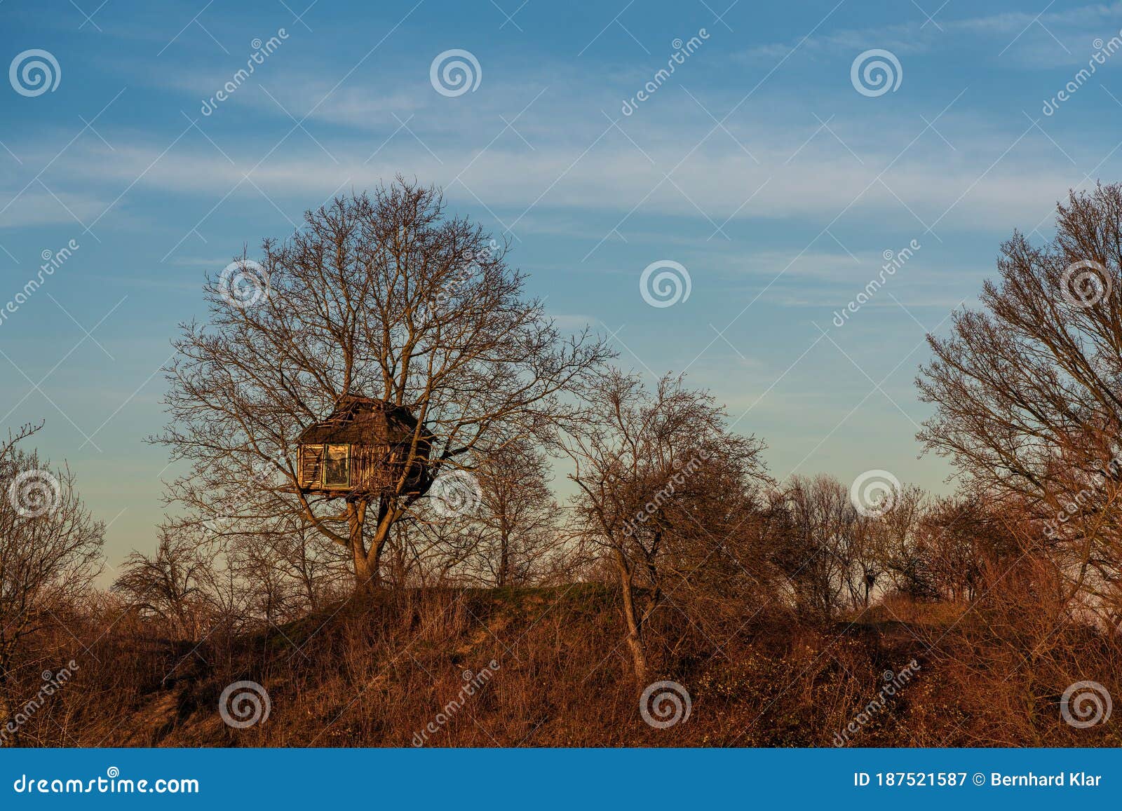 A tree house in Nijmegen stock image. Image of forest - 187521587