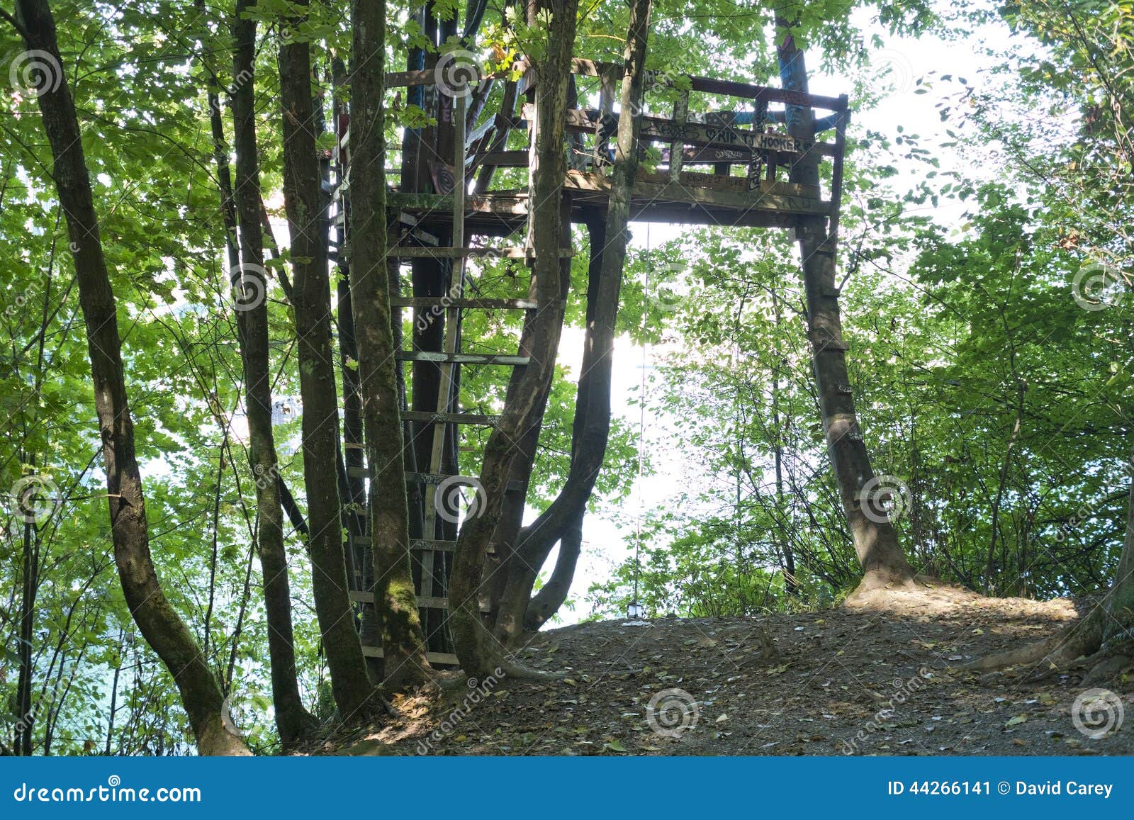 Tree fort by the river stock image. Image of treehouse - 44266141