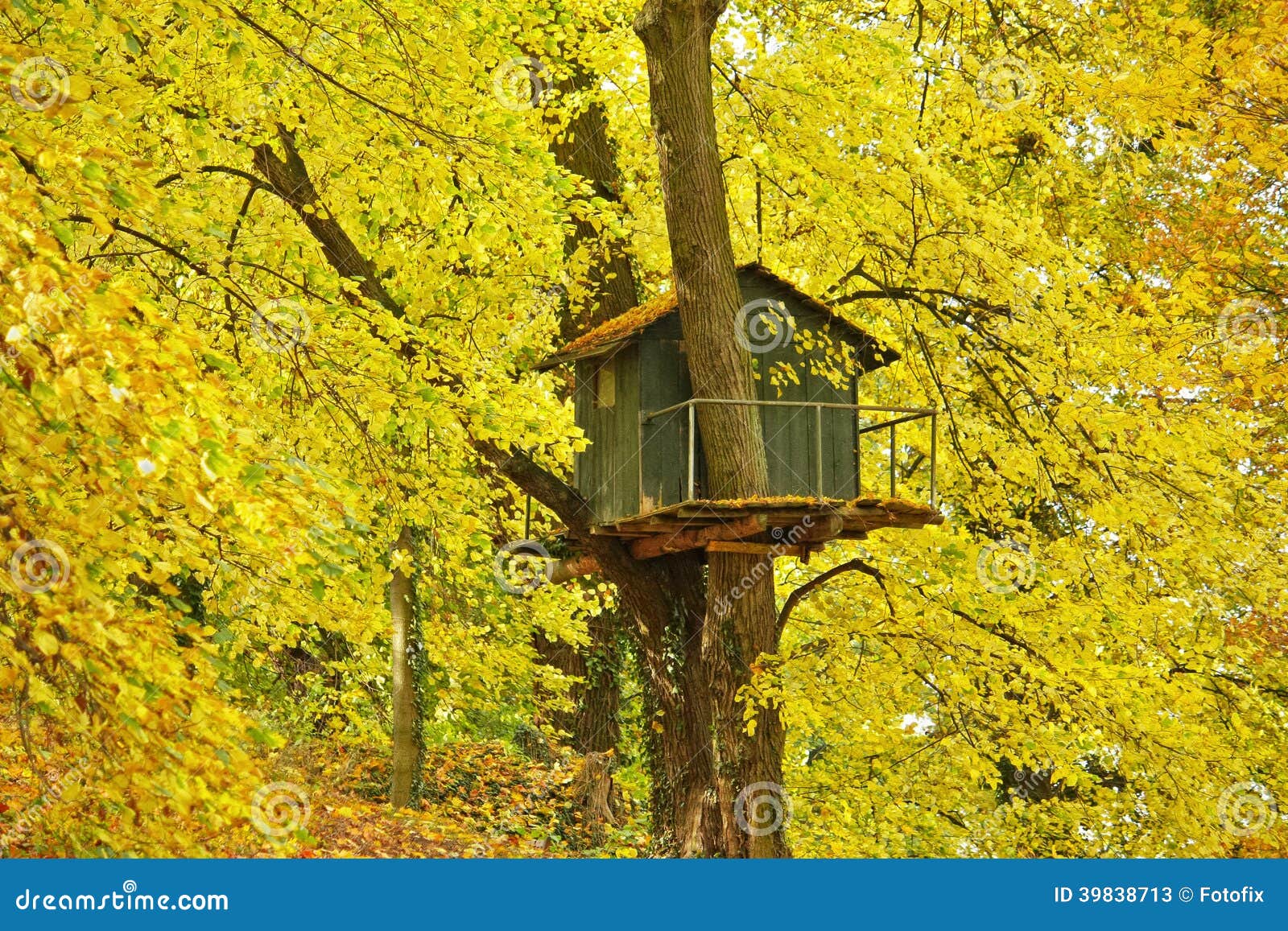 Tree house stock image. Image of trees, autumn, small - 39838713