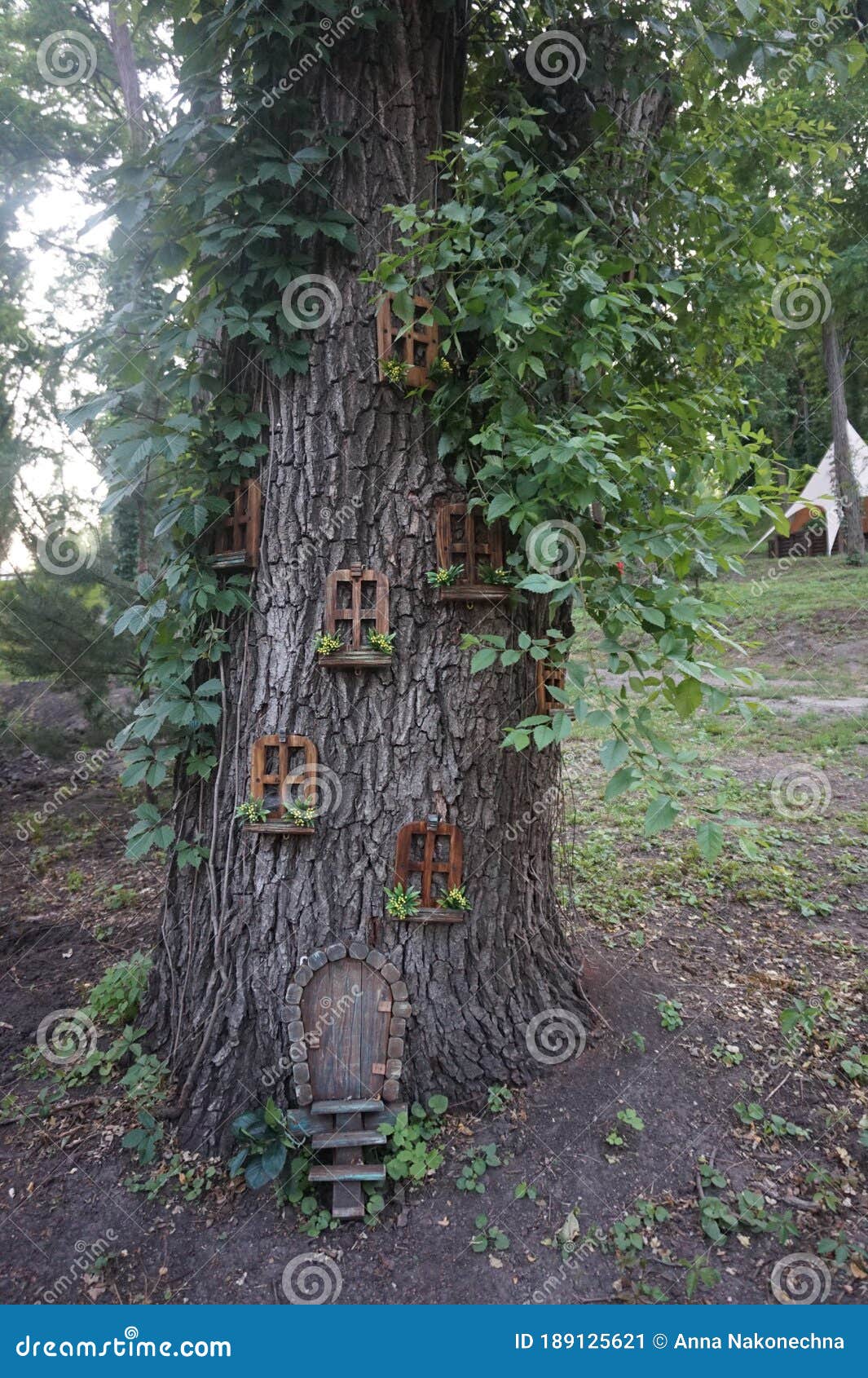 Tree Houses for Squirrels and Birds in the Park. Stock Image - Image of ...