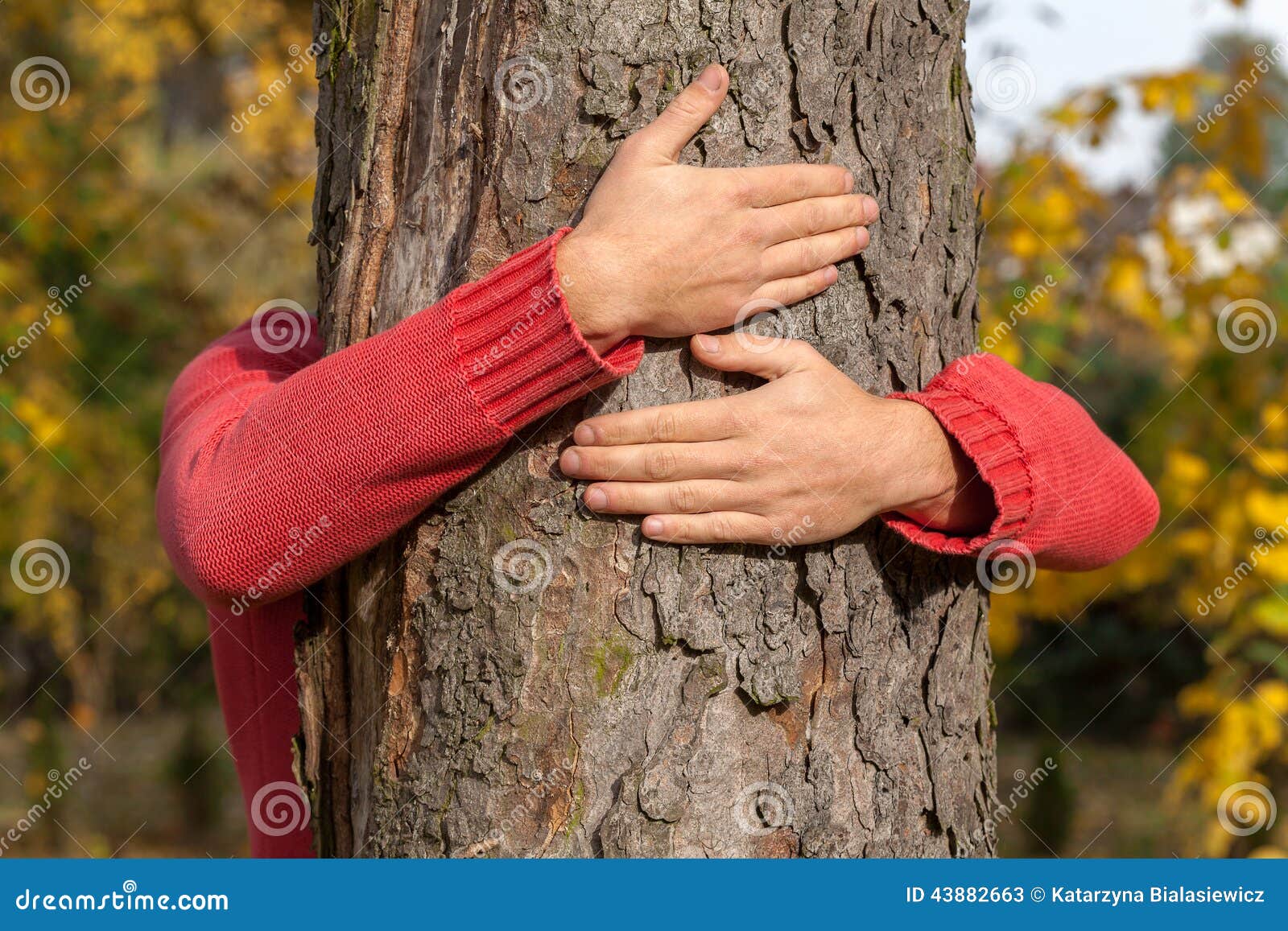 Tree hug stock image. Image of clean, borrow, emotions - 43882663