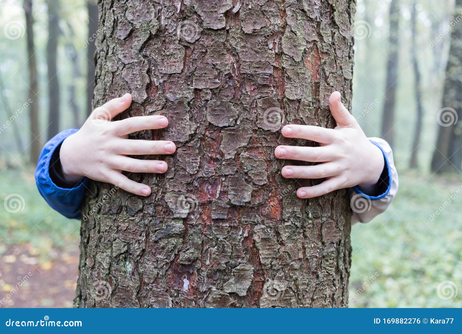 Tree_hug stock photo. Image of environmentalist, nature - 169882276