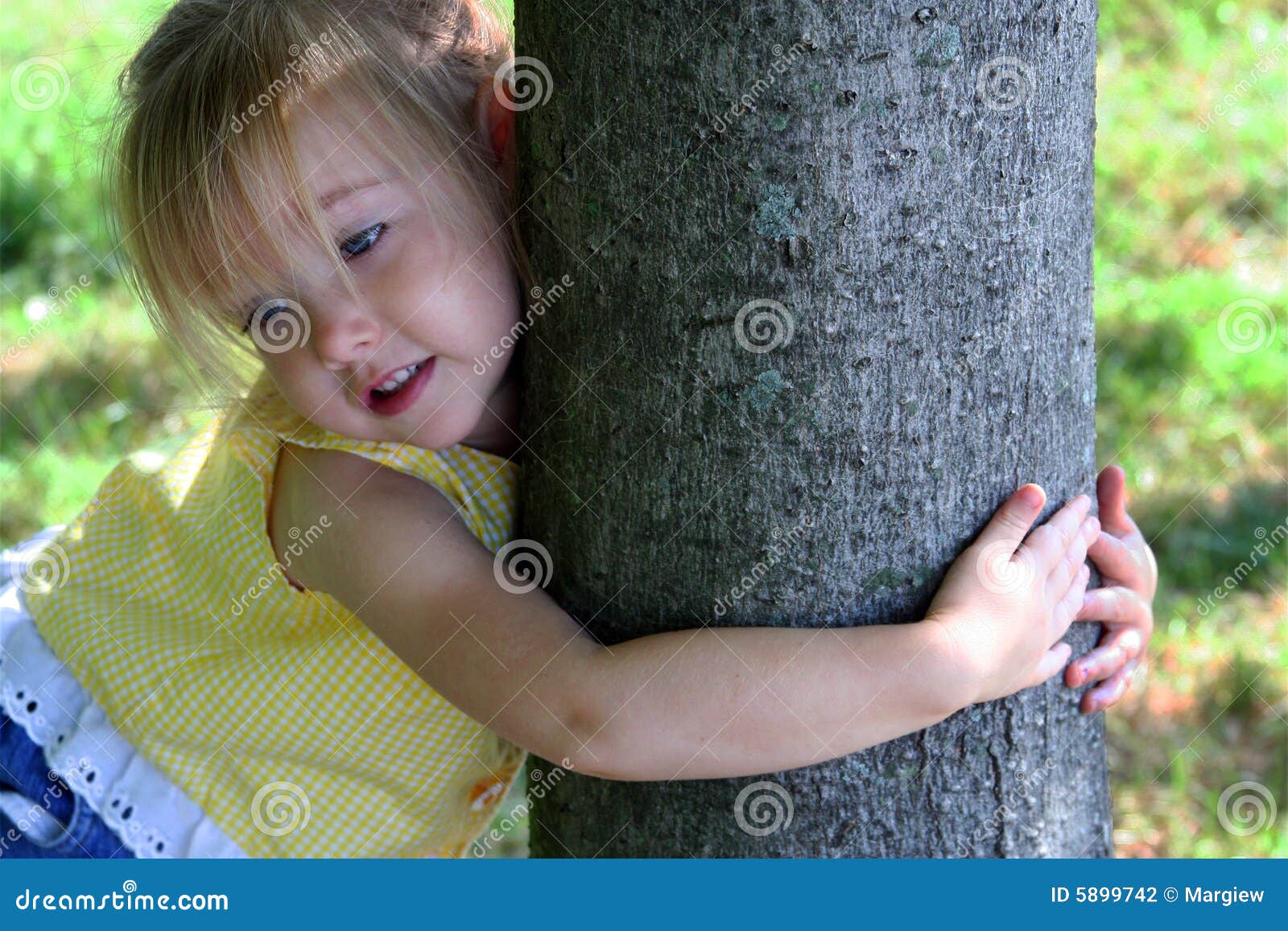Tree Hugger stock photo. Image of lass, pose, eyes, bark - 5899742