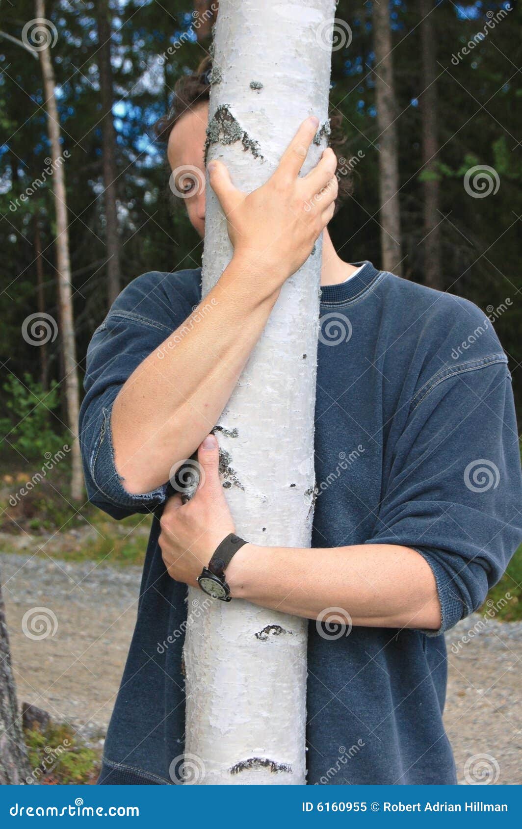 Tree hugger stock image. Image of wood, trunk, embrace - 6160955