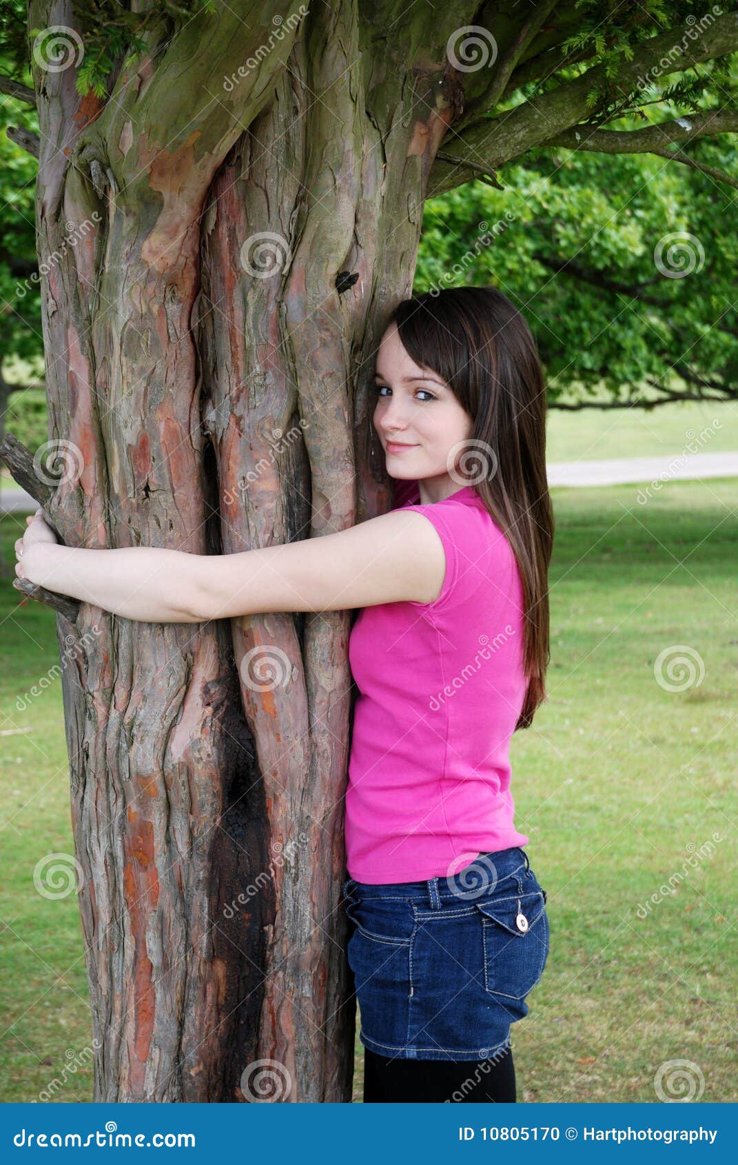 Tree hugging stock photo. Image of appealing, affectionate - 10805170