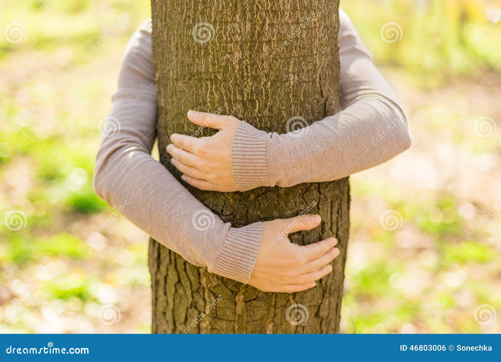 Tree hugging stock photo. Image of life, care, hold, child - 46803006