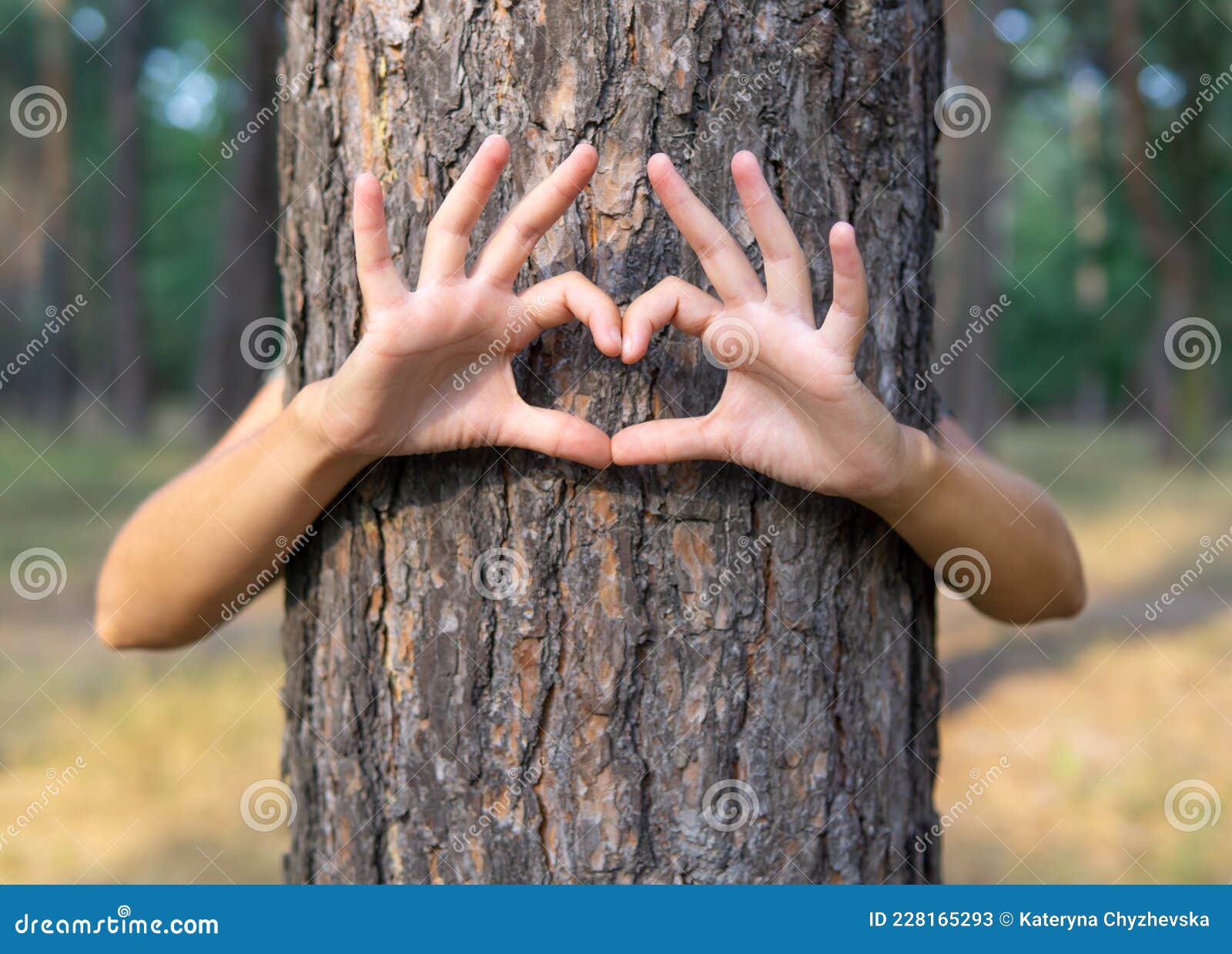 Tree hugging with love stock image. Image of issues - 228165293