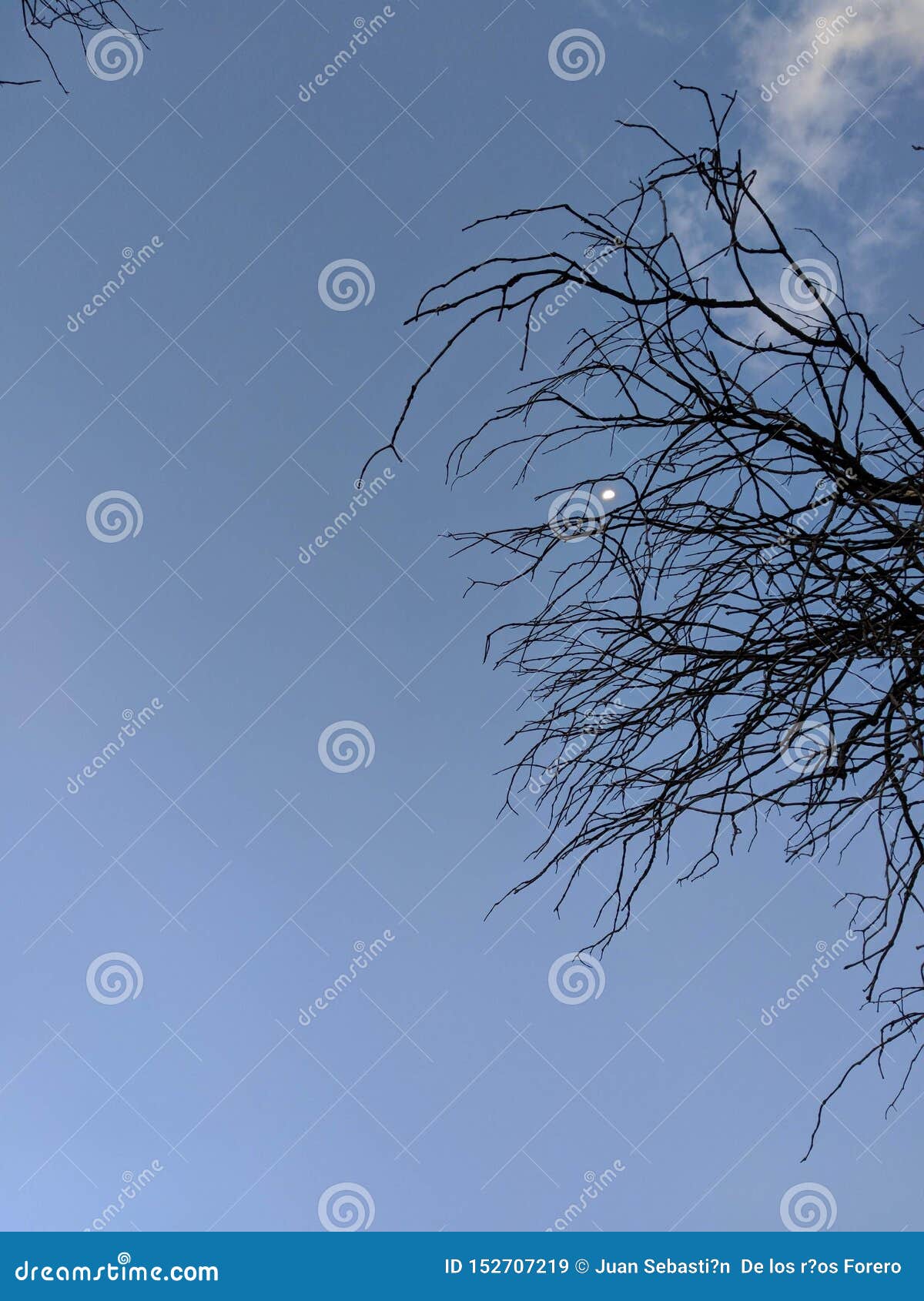 Boy Hugging The Moon Royalty-Free Stock Image | CartoonDealer.com #83277640