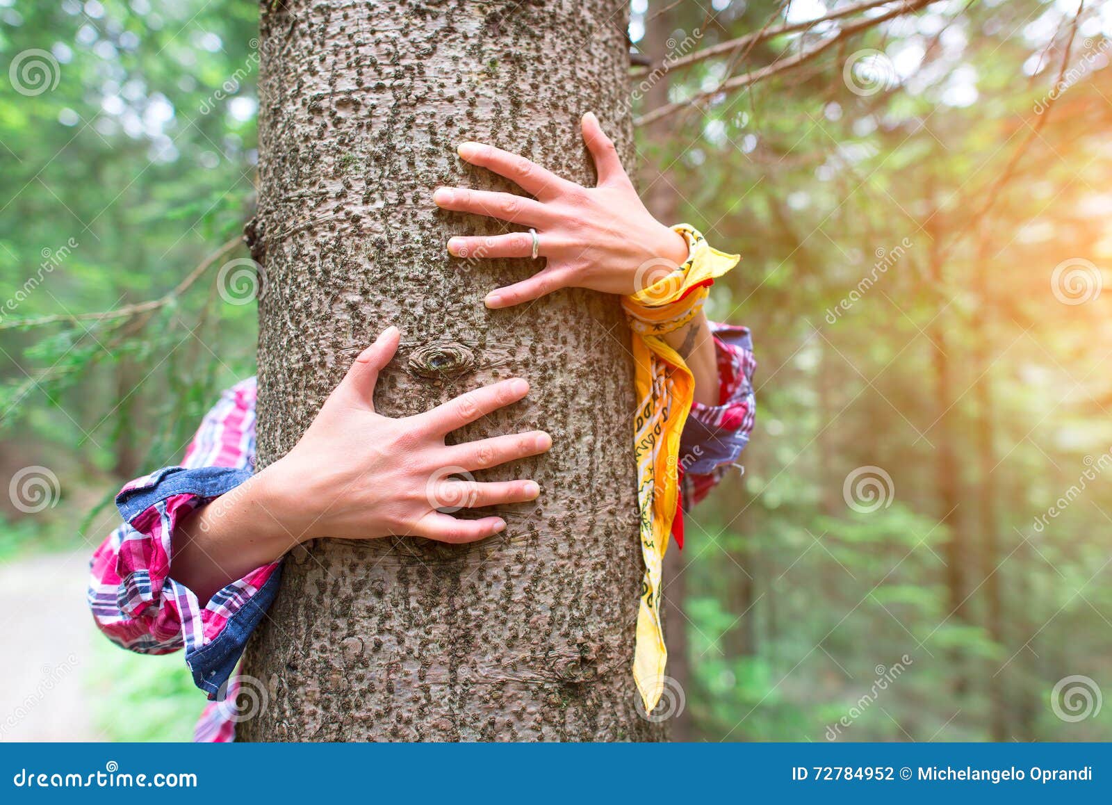 Tree Hugging Love Royalty Free Stock Image 85242964