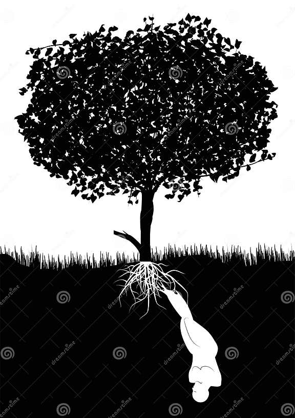 Tree and human stock vector. Illustration of tree, life - 40356074