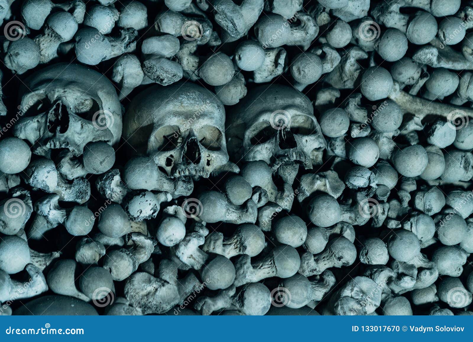 The Tree Human Skulls on the Bones Background are in the Dark C ...