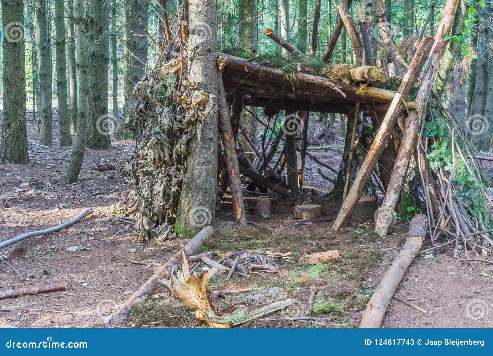 Tree Hut of Branches and Leaves Forest View Stock Image - Image of ...