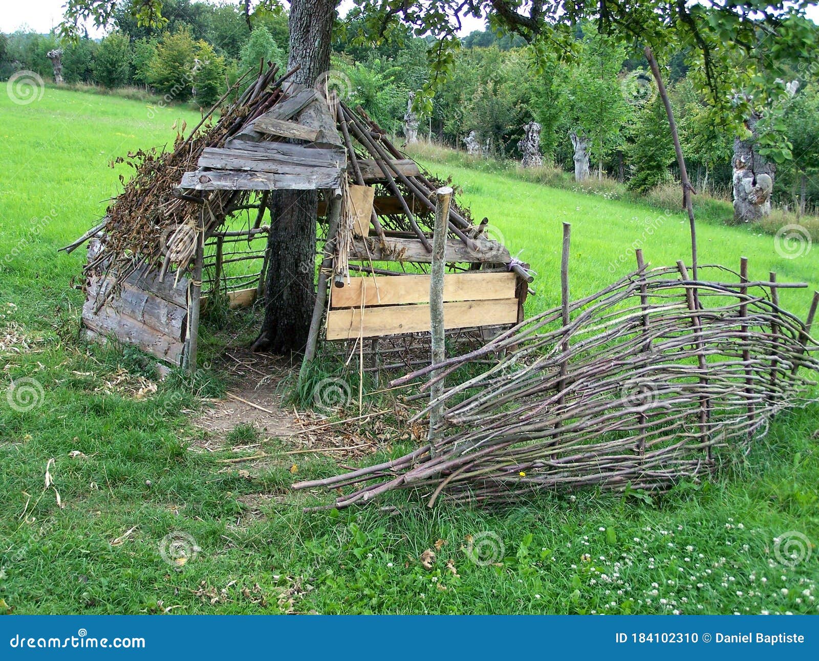 Tree hut stock photo. Image of treehut, field, greenery - 184102310