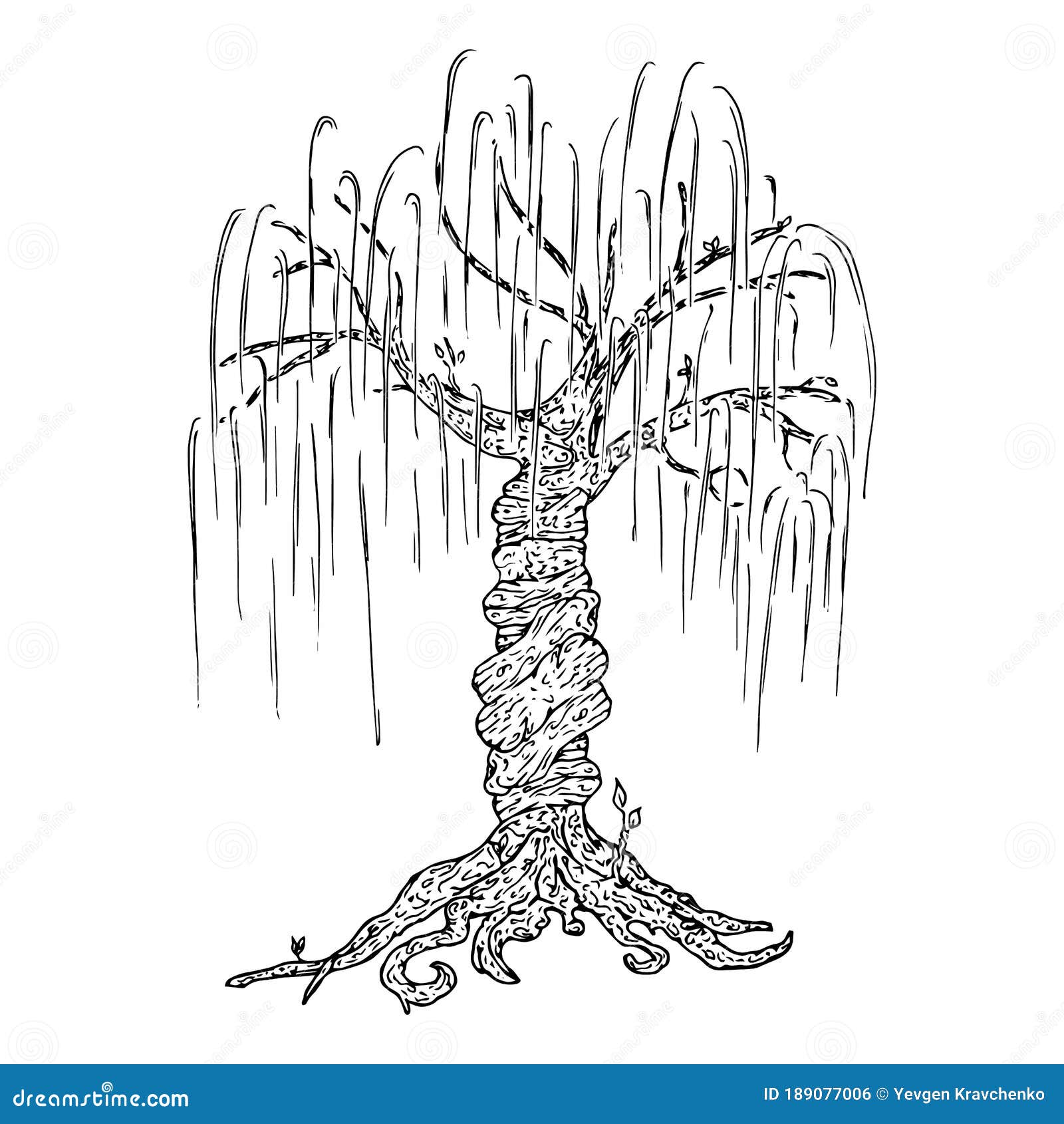 Tree Icon. Vector Illustration Big Tree Willow. Hand Drawn Weeping ...