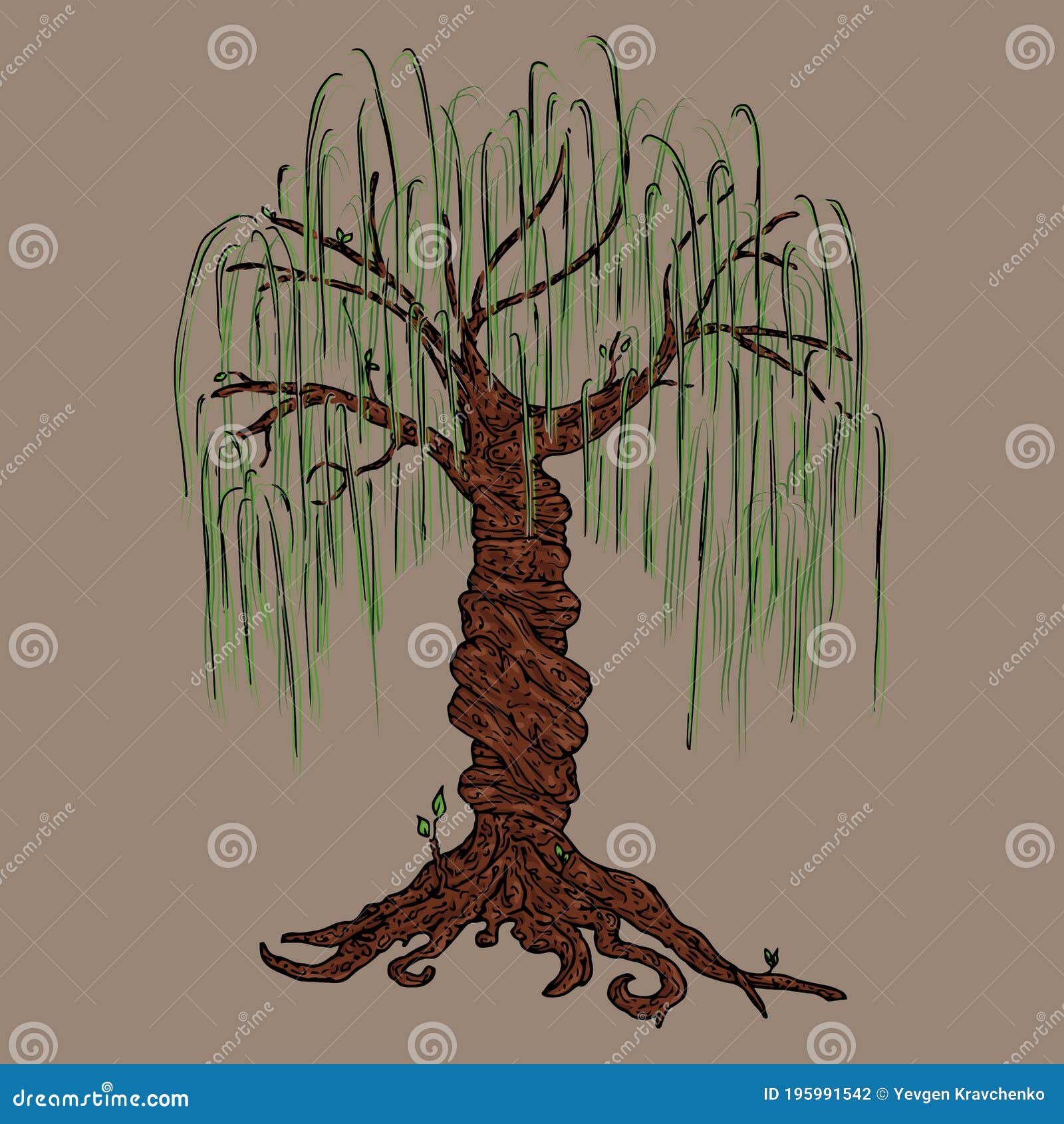 Tree Icon. Vector Illustration Big Tree Willow. Hand Drawn Weeping ...