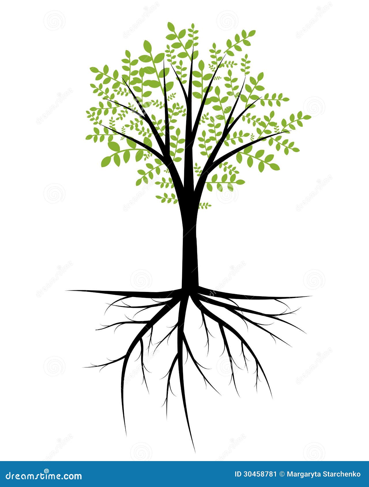 Tree illustration stock vector. Illustration of leaves - 30458781