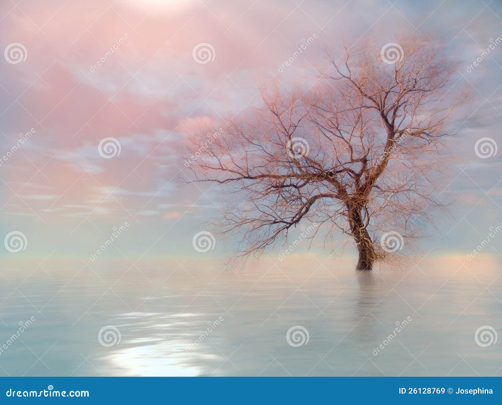 The tree in infinite stock image. Image of tree, summer - 26128769
