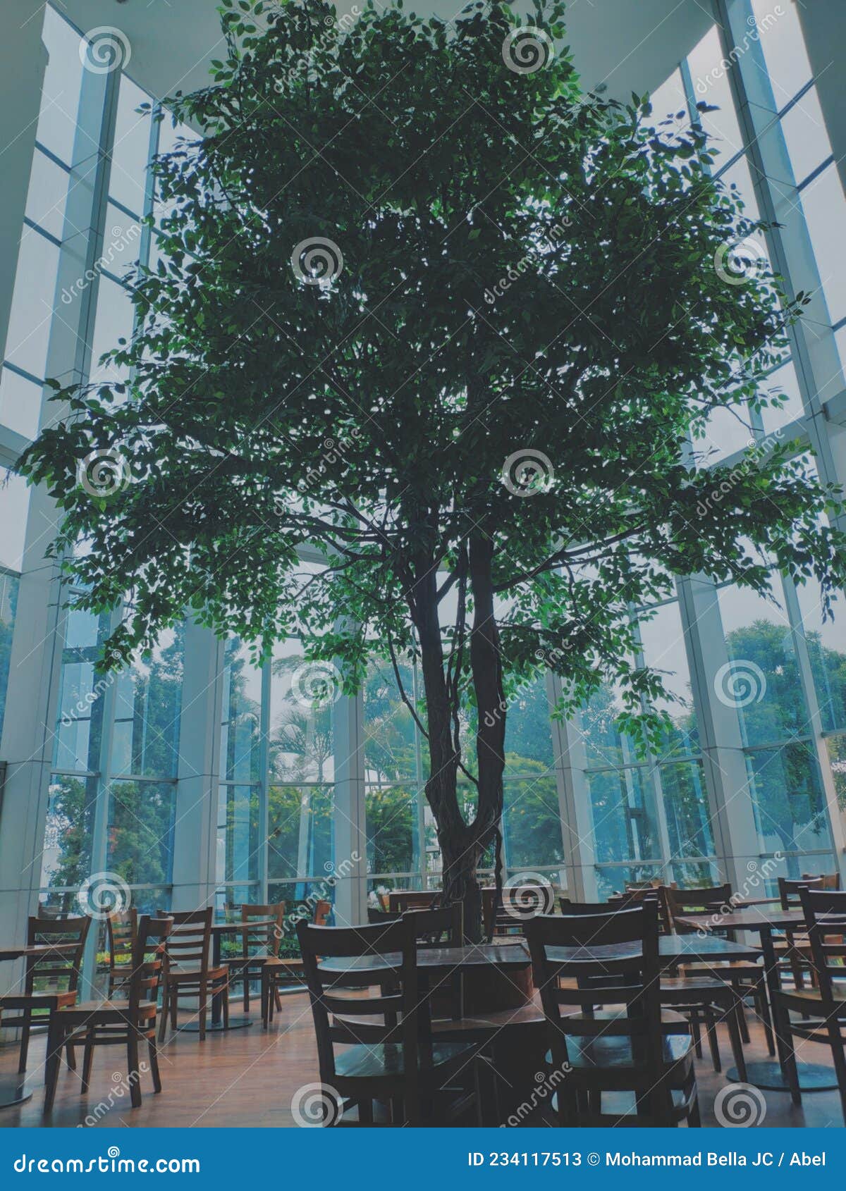 Tree inside building stock image. Image of facade, office - 234117513