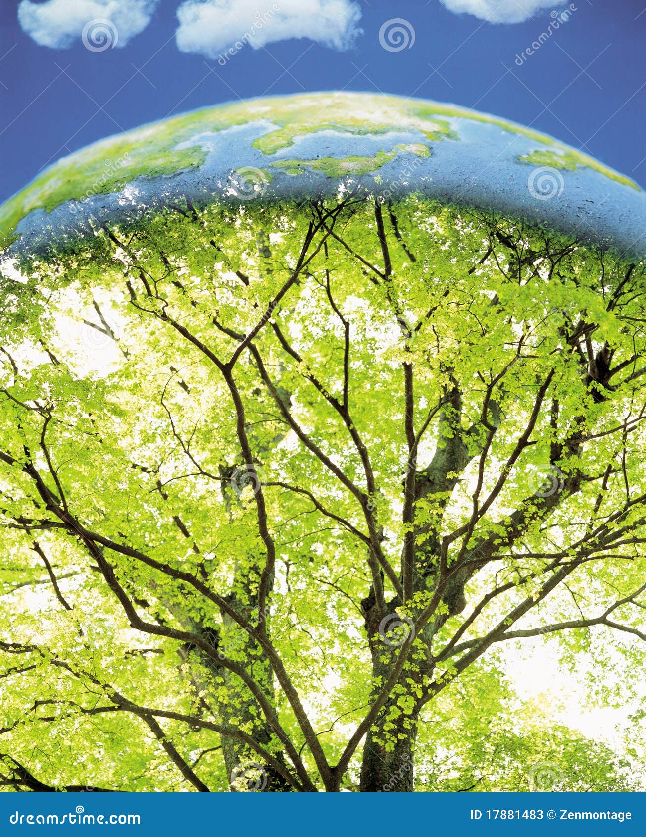 Tree Inside the Earth stock image. Image of bubble, living - 17881483
