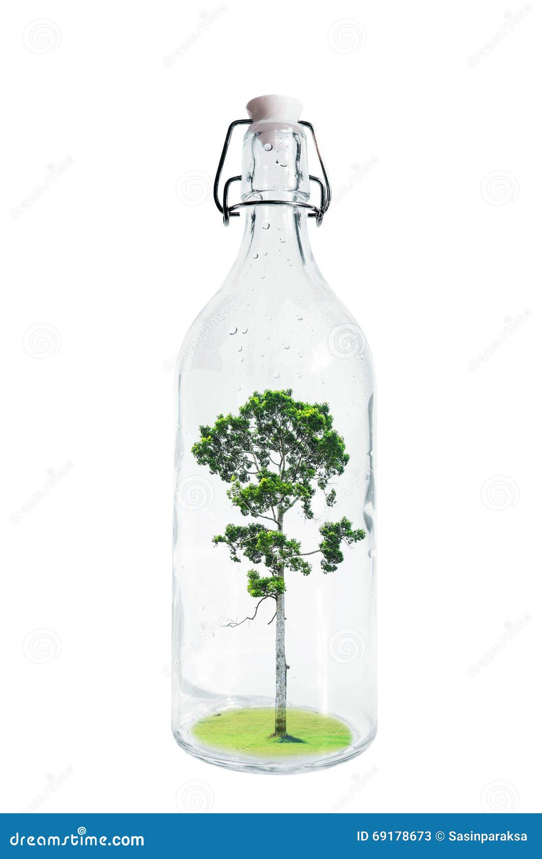 A Tree Inside Glass Bottle, Abstract Concept of Savings an Nature ...
