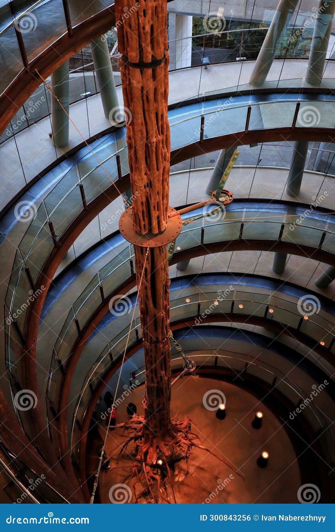 Tree Inside the Museum Building Editorial Photo - Image of inside, tree ...