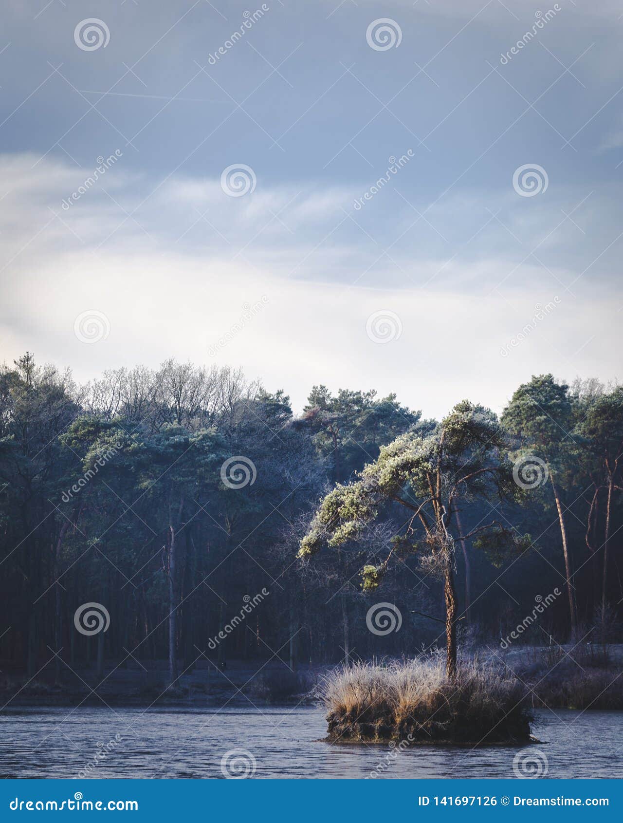 Tree on Island in Front of Forest and Blue Sky Stock Photo - Image of ...